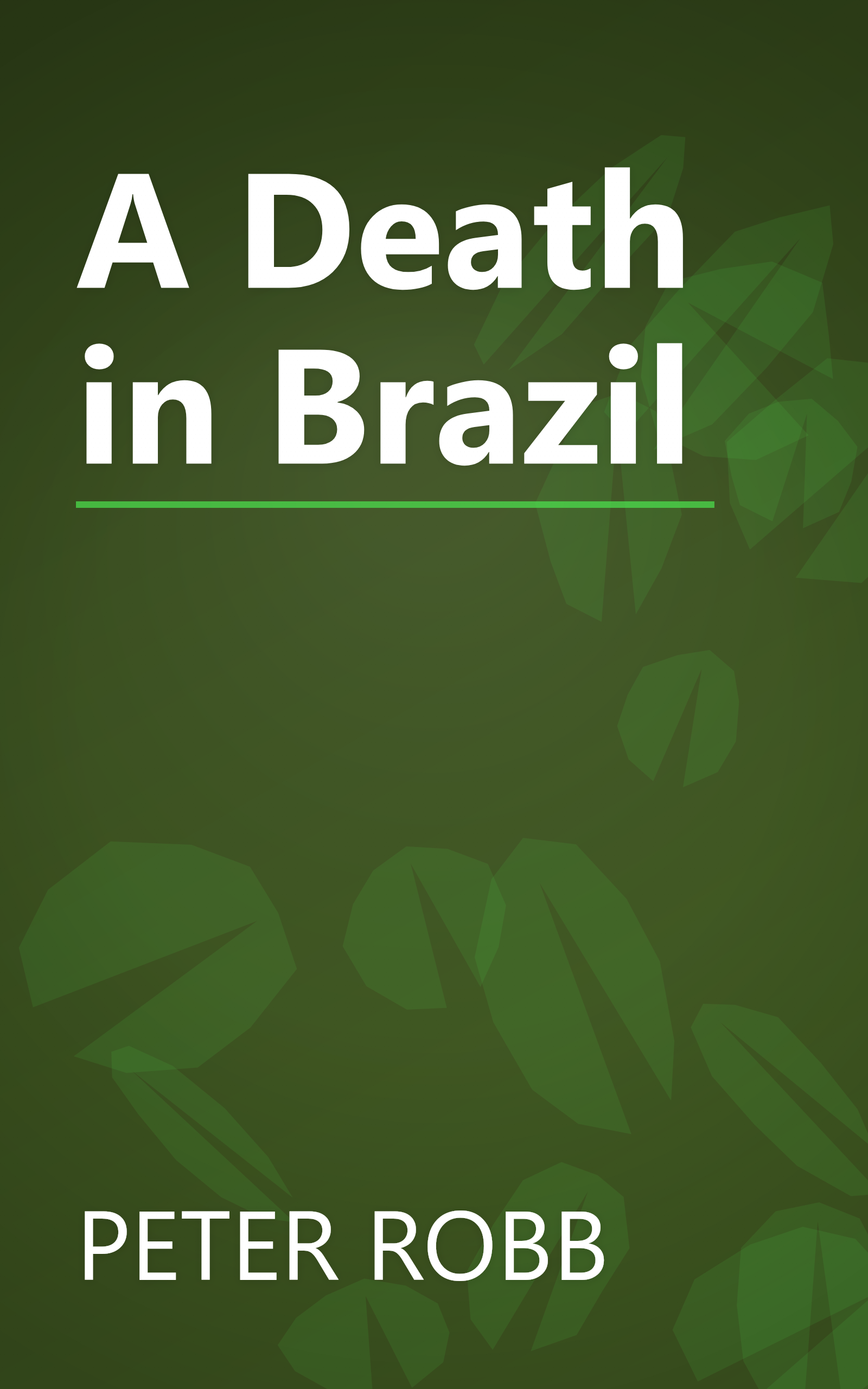 A Death in Brazil book cover