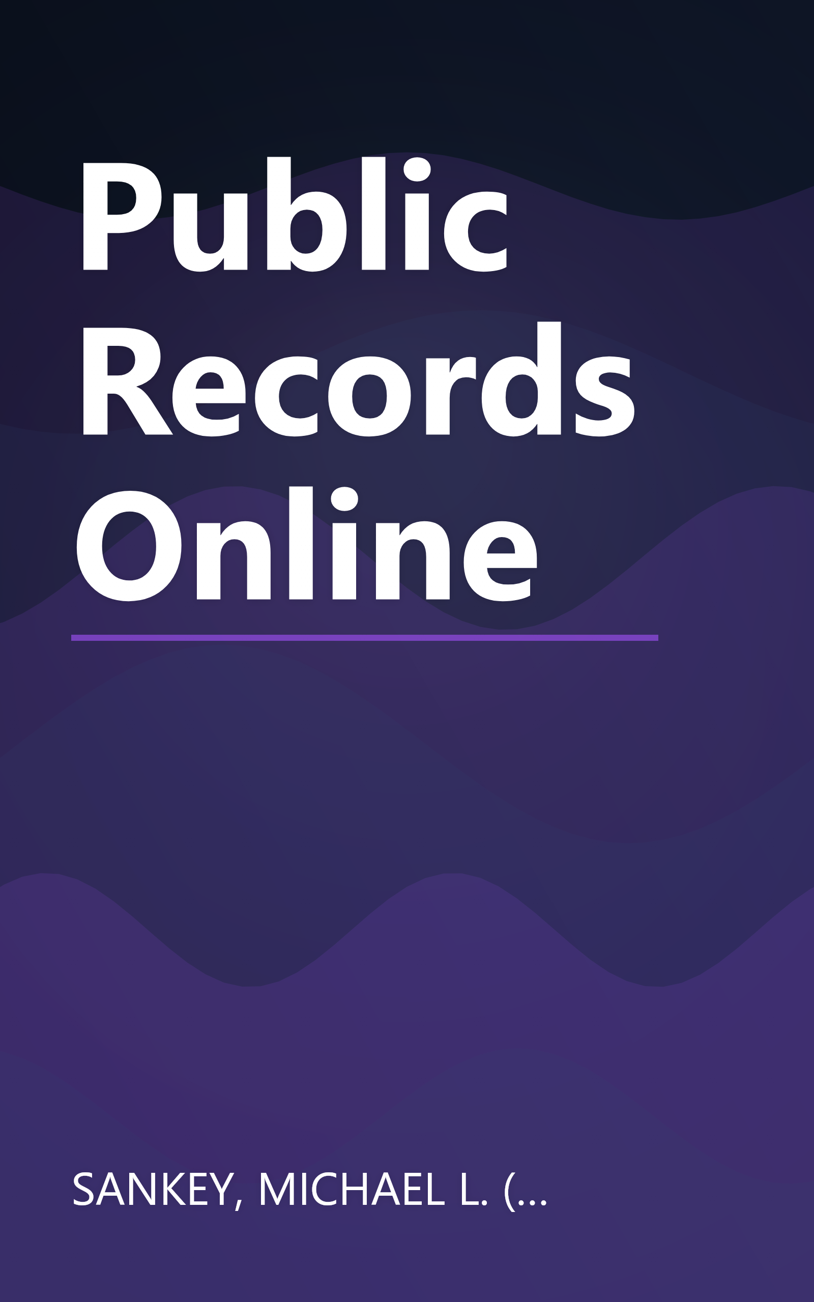 Public Records Online book cover