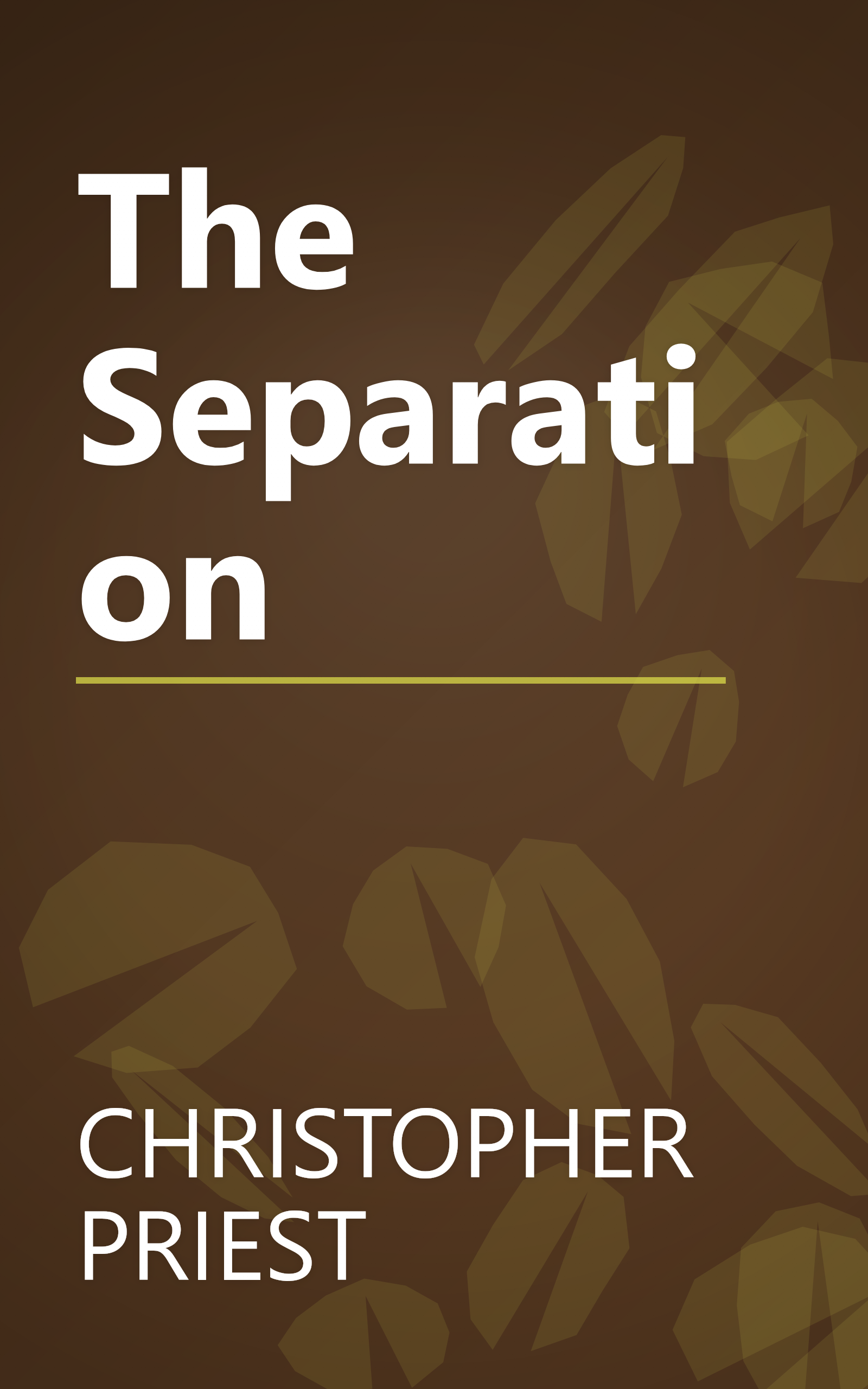 The Separation book cover