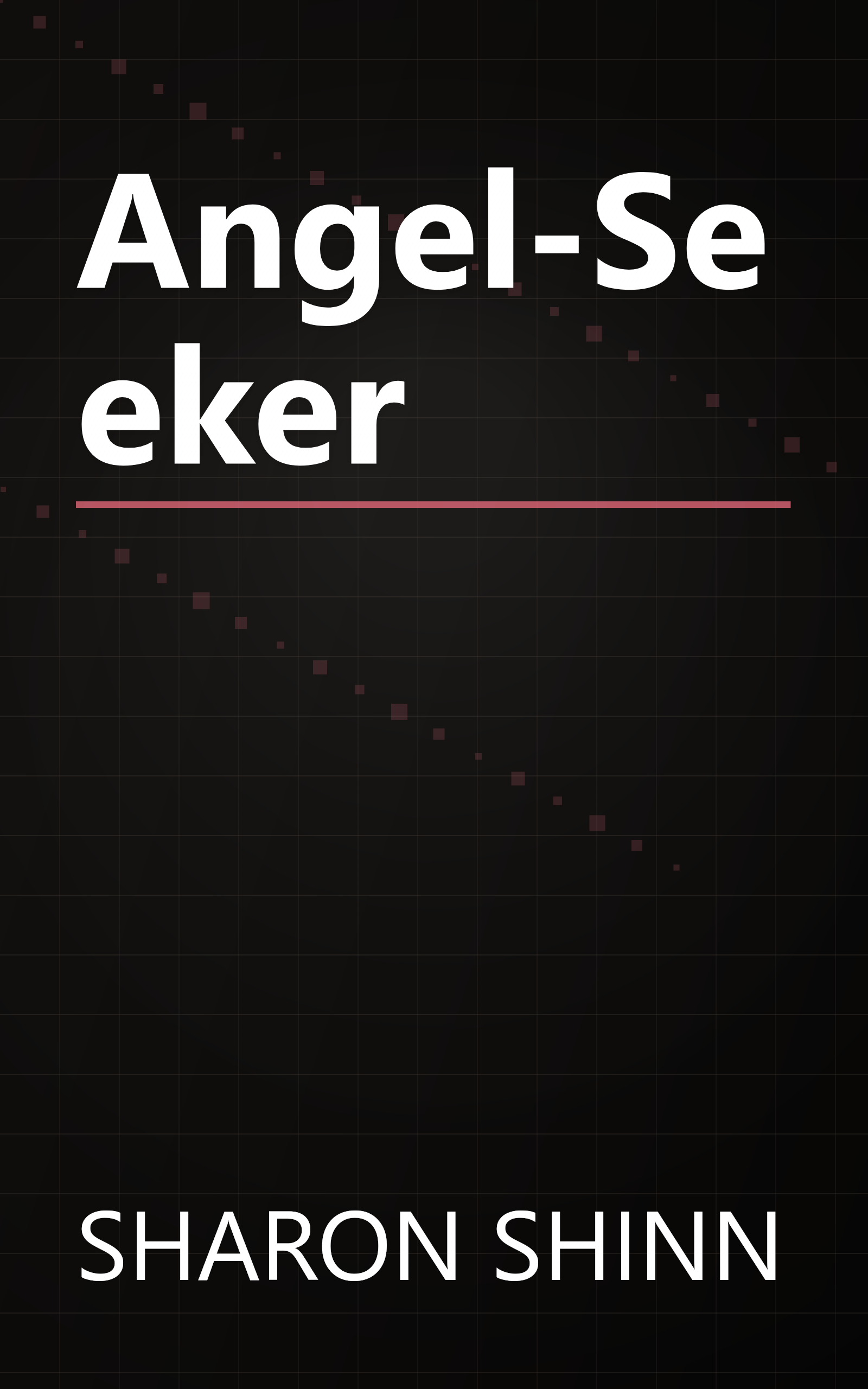 Angel-Seeker book cover