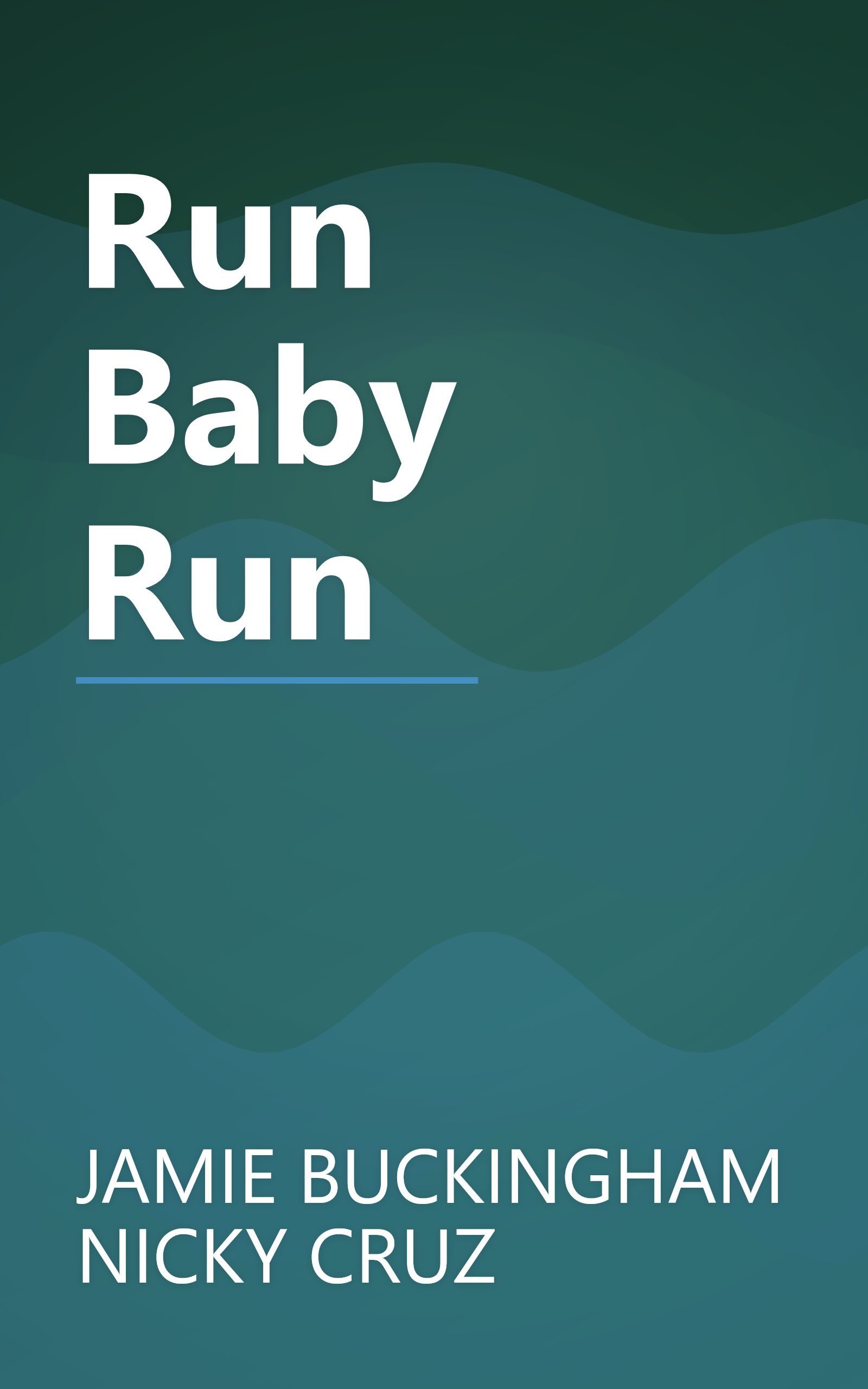 Run Baby Run book cover