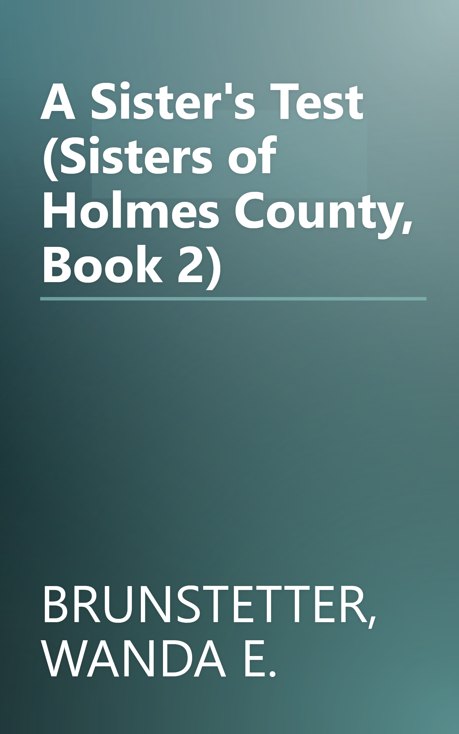 A Sister's Test (Sisters of Holmes County, Book 2) book cover