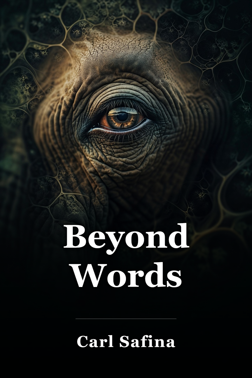 Beyond Words book cover