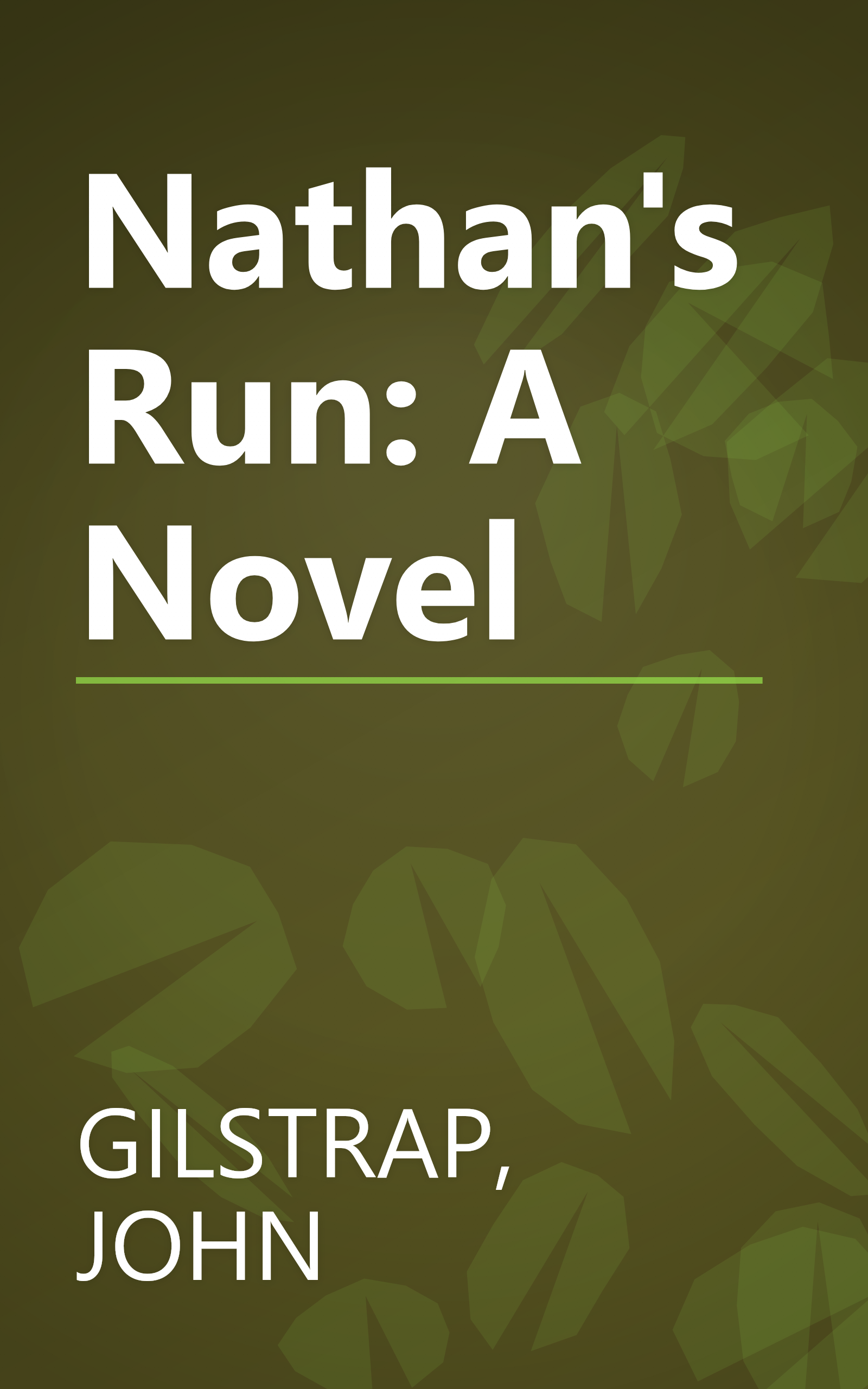 Nathan's Run: A Novel book cover