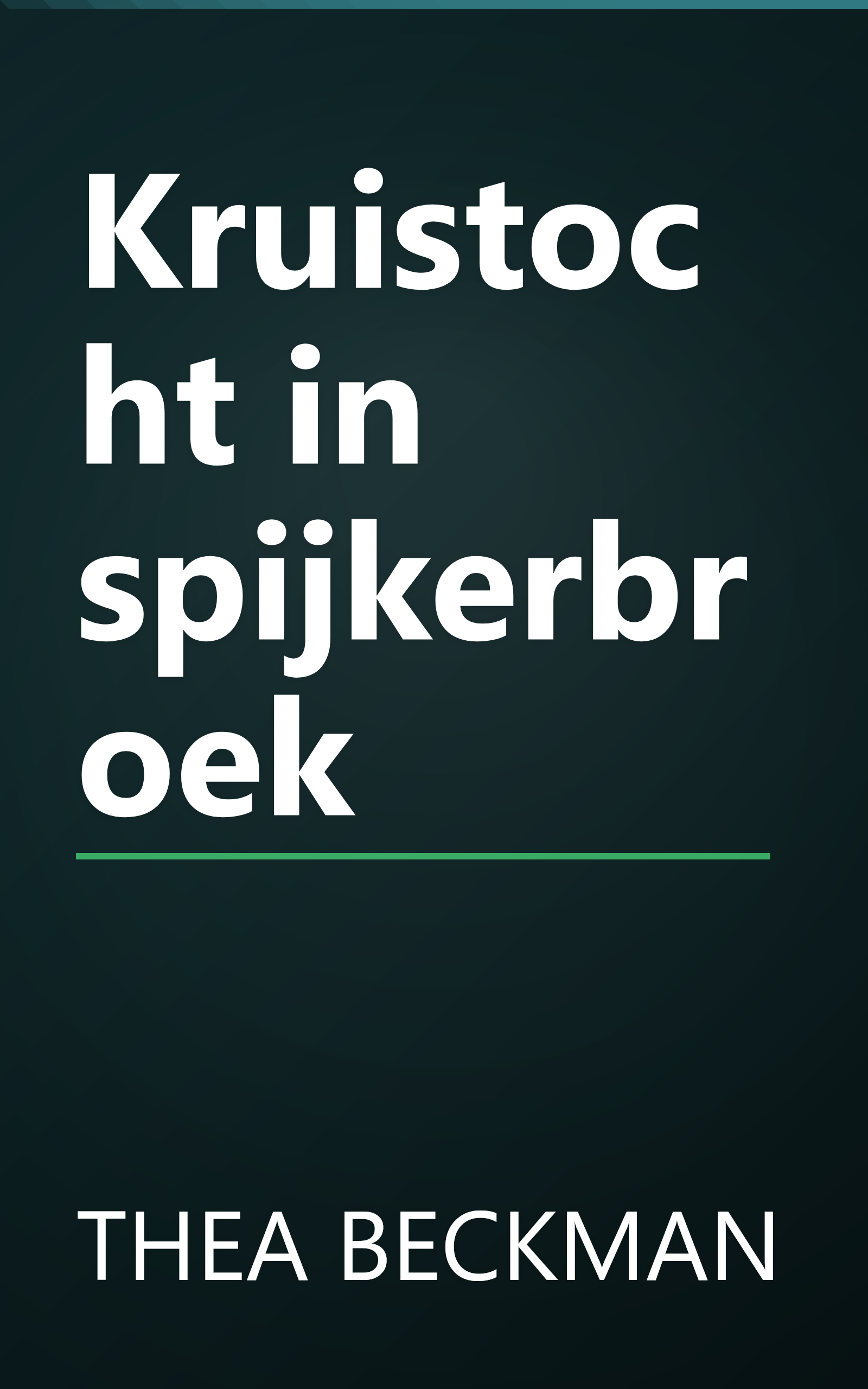 Kruistocht in spijkerbroek book cover