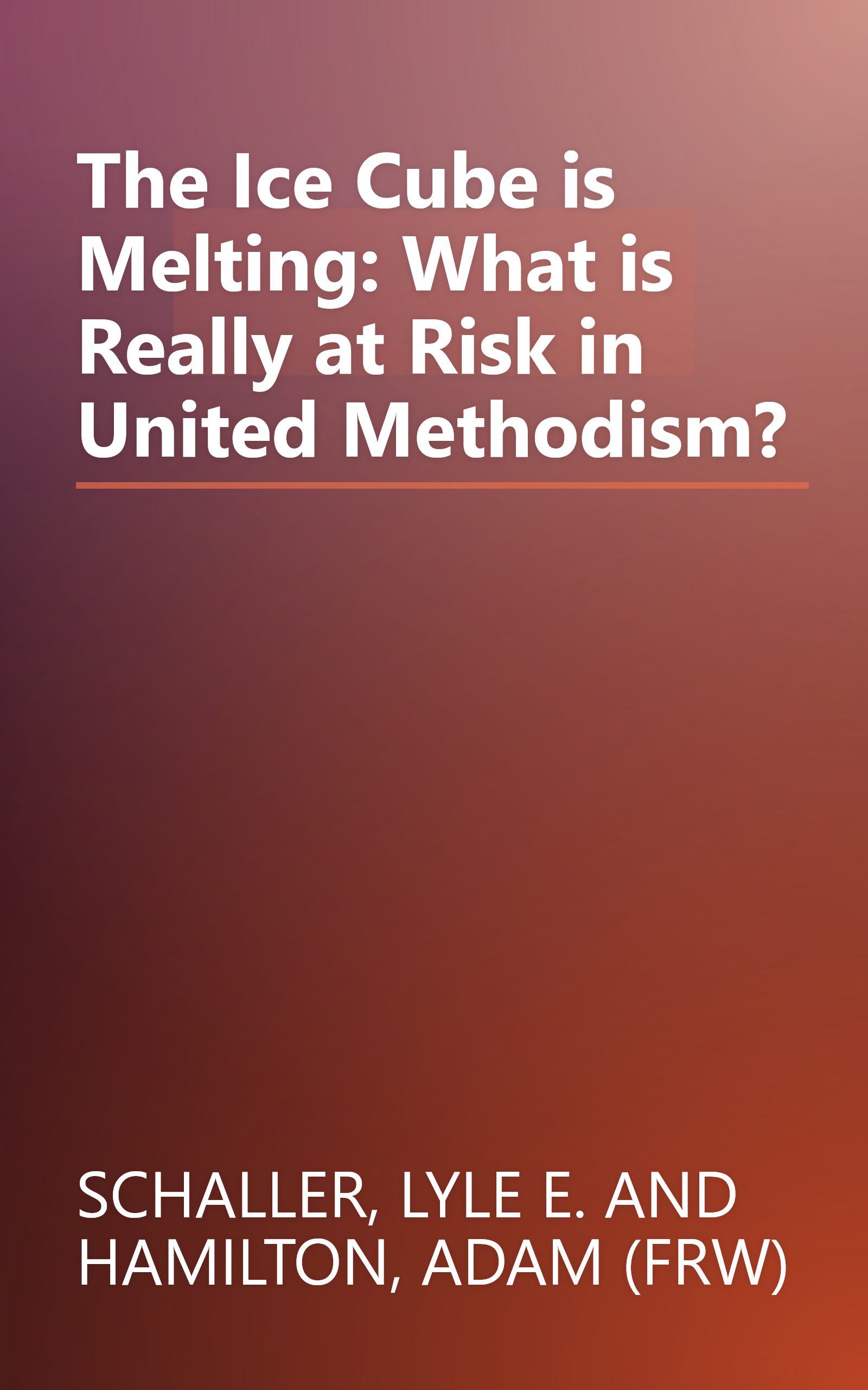 The Ice Cube is Melting: What is Really at Risk in United Methodism? book cover