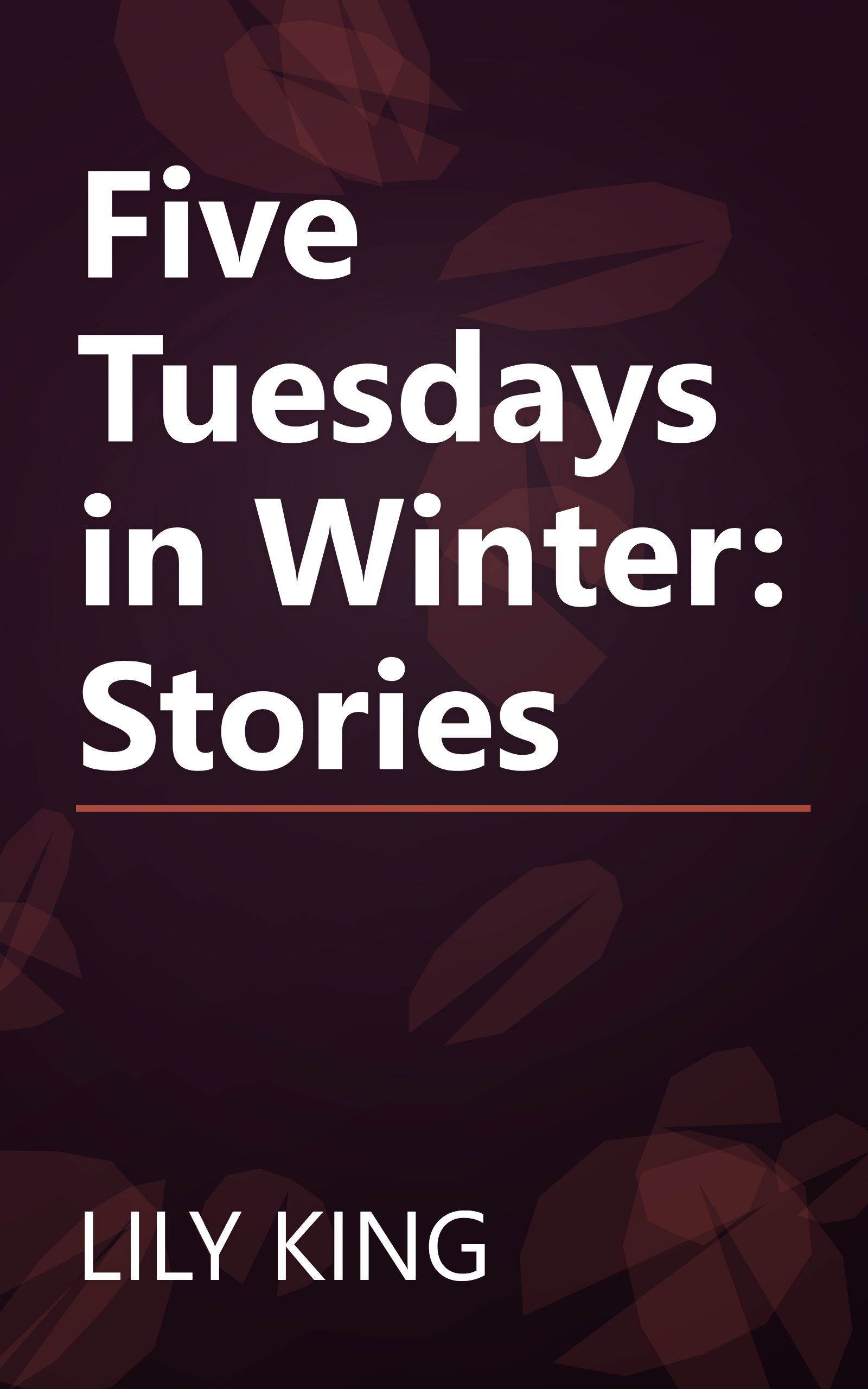 Five Tuesdays in Winter: Stories book cover