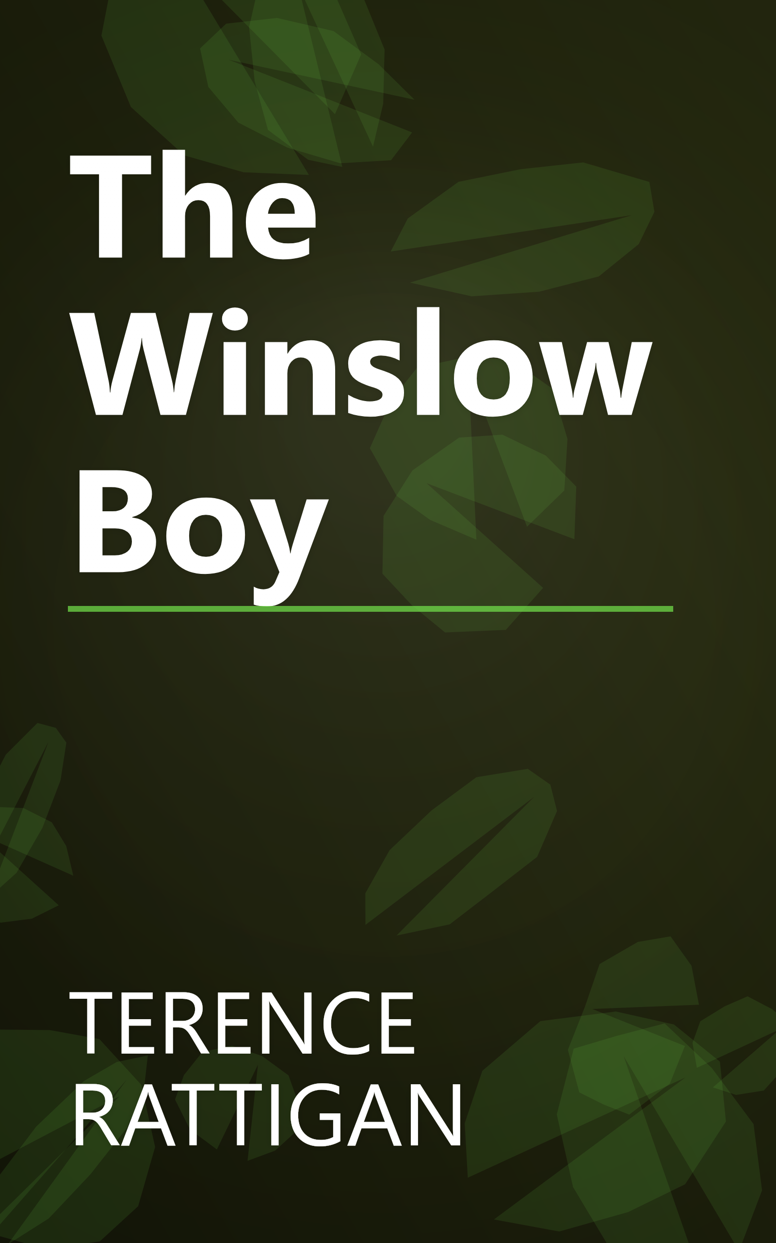 The Winslow Boy book cover