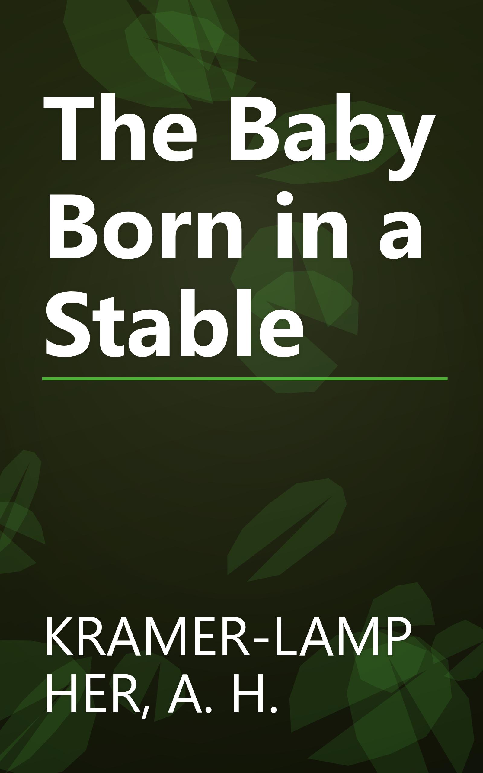 The Baby Born in a Stable book cover