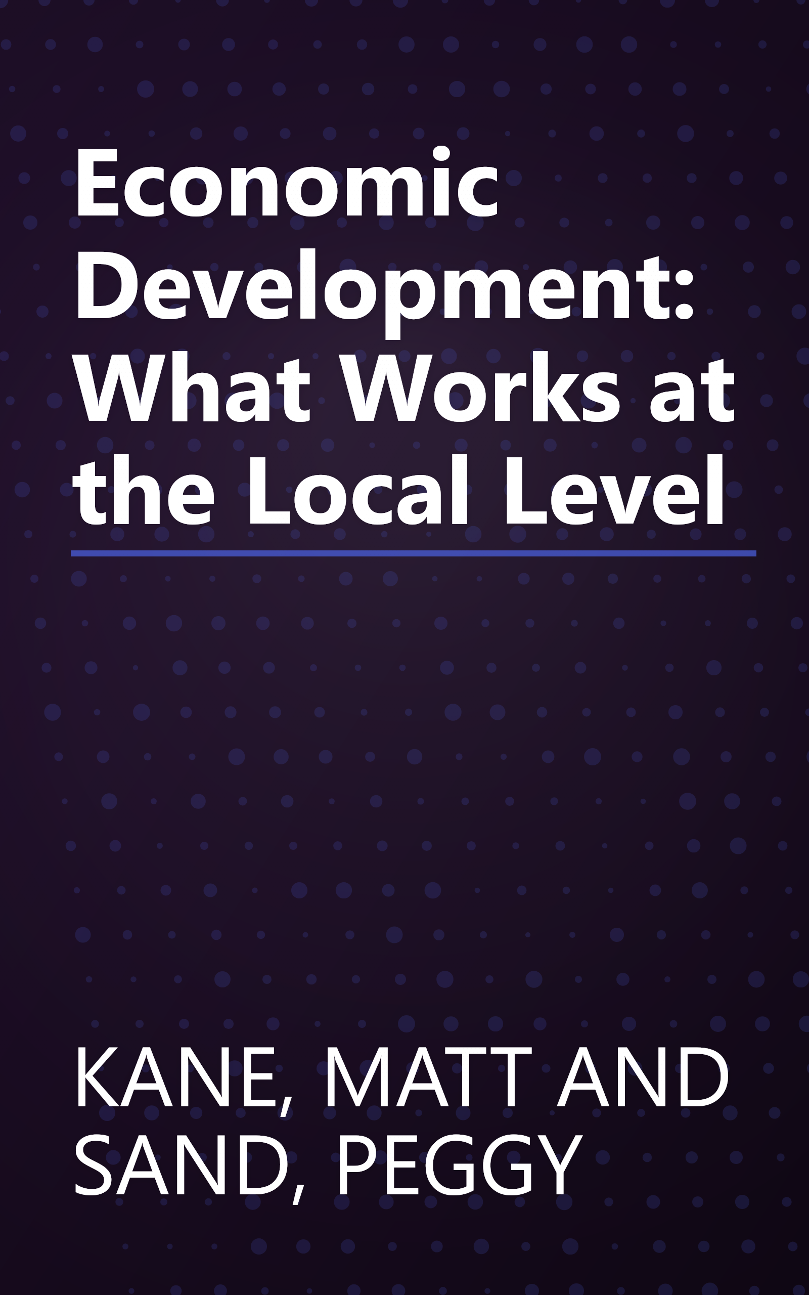 Economic Development: What Works at the Local Level book cover