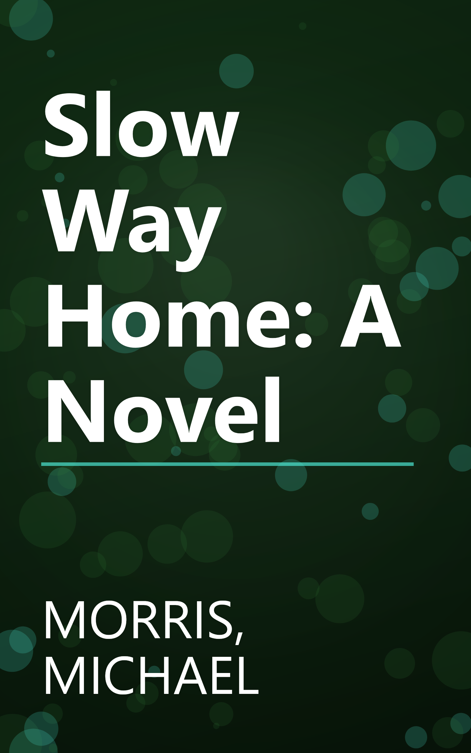 Slow Way Home: A Novel book cover