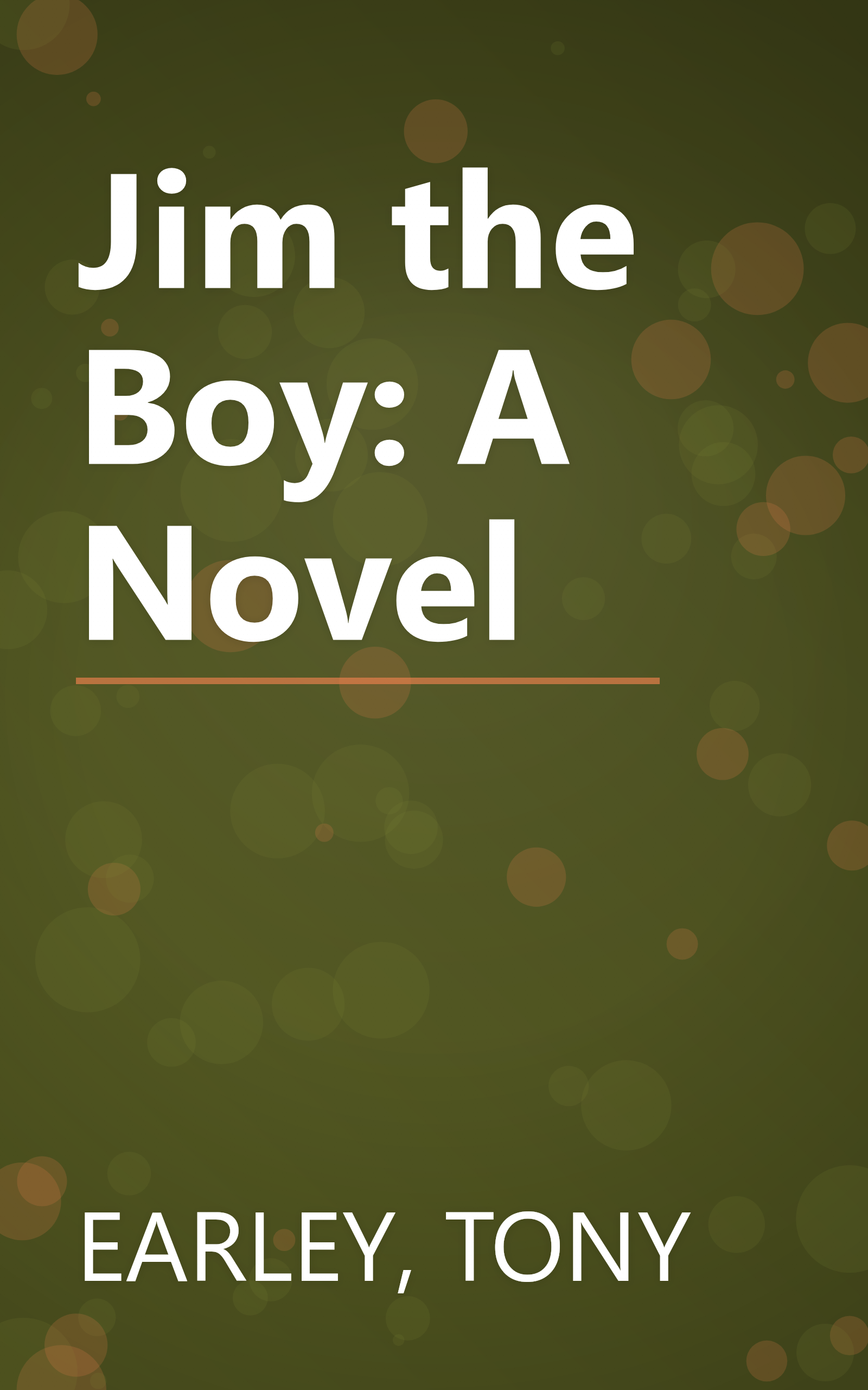 Jim the Boy: A Novel book cover