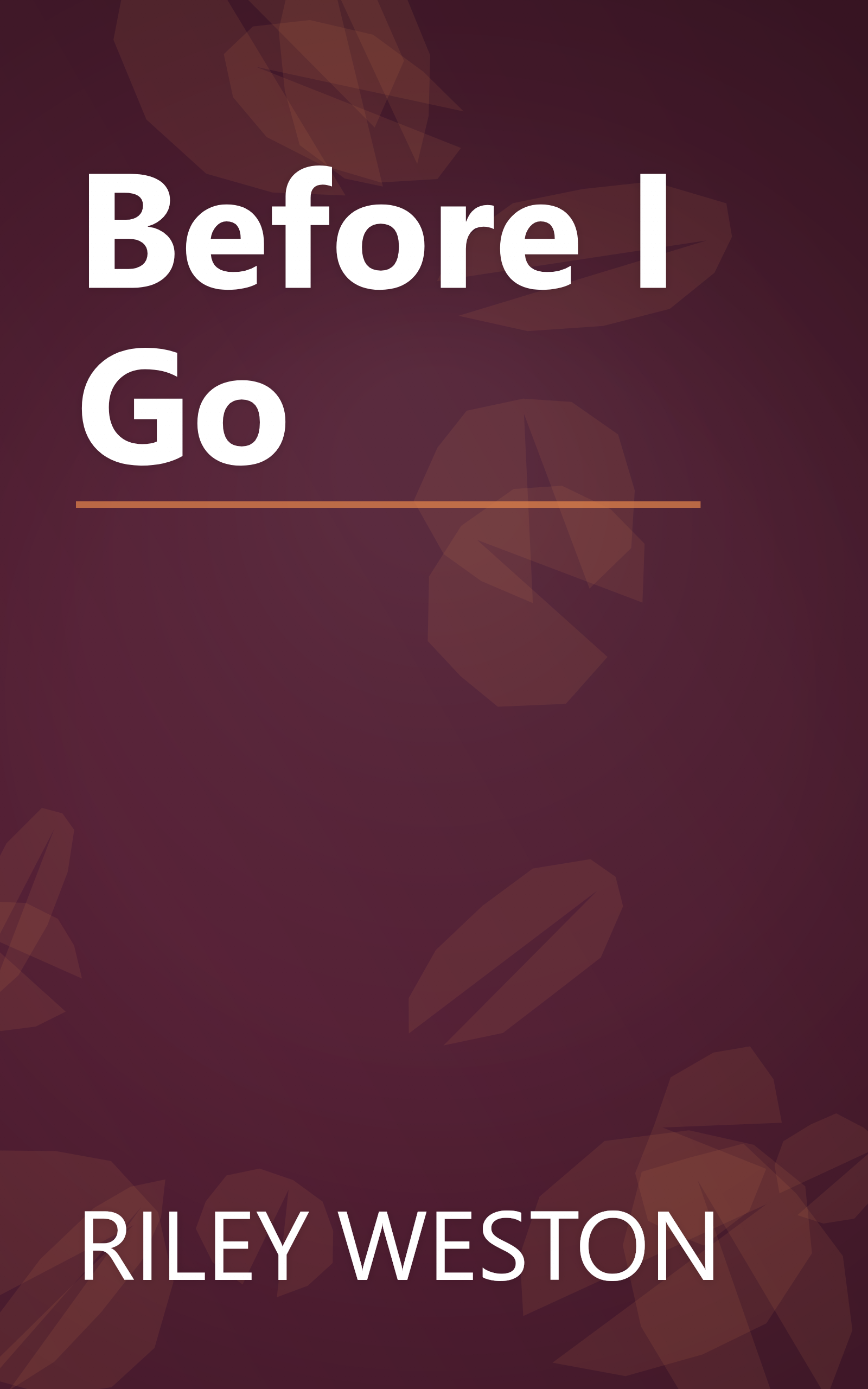 Before I Go book cover
