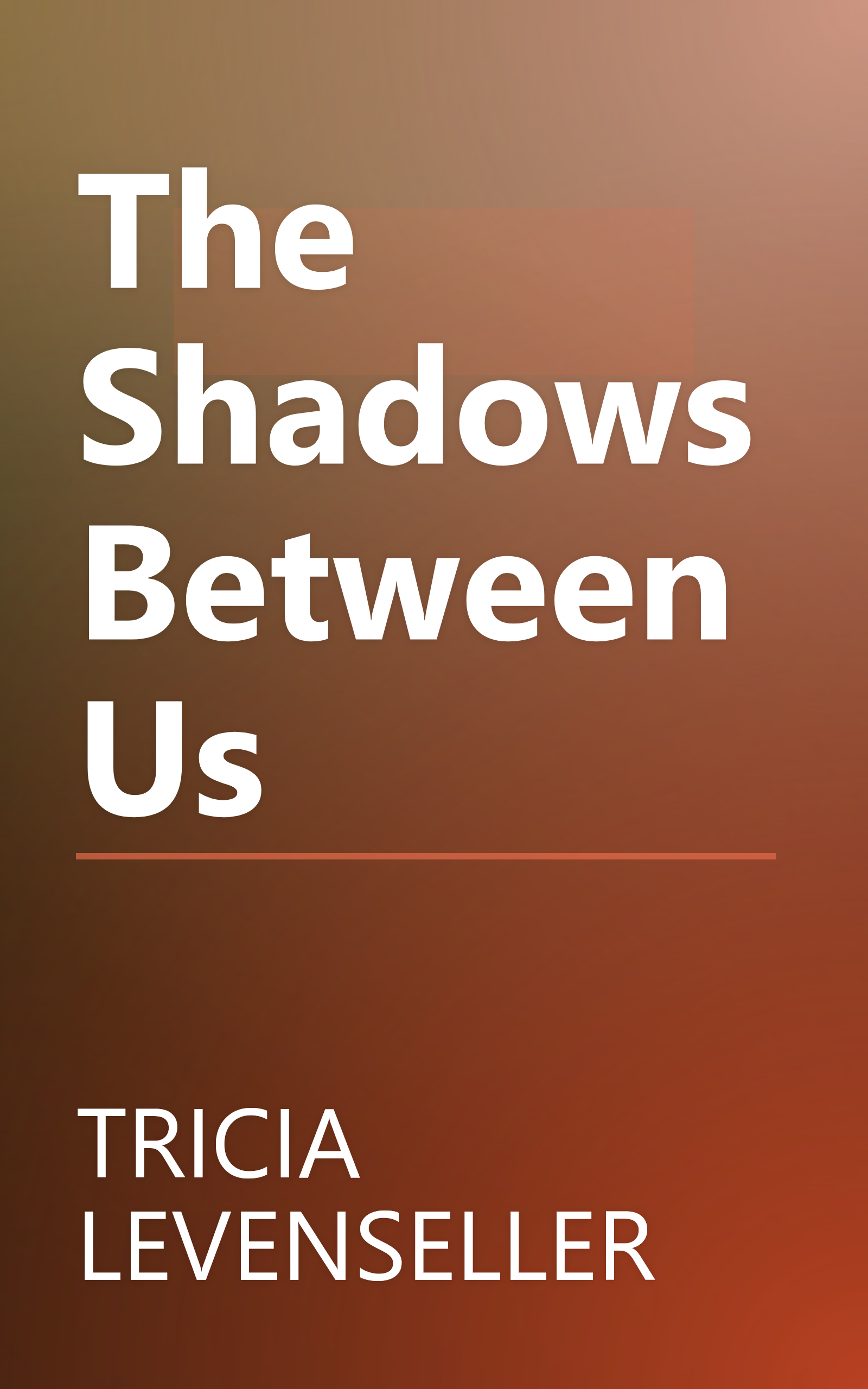 The Shadows Between Us book cover