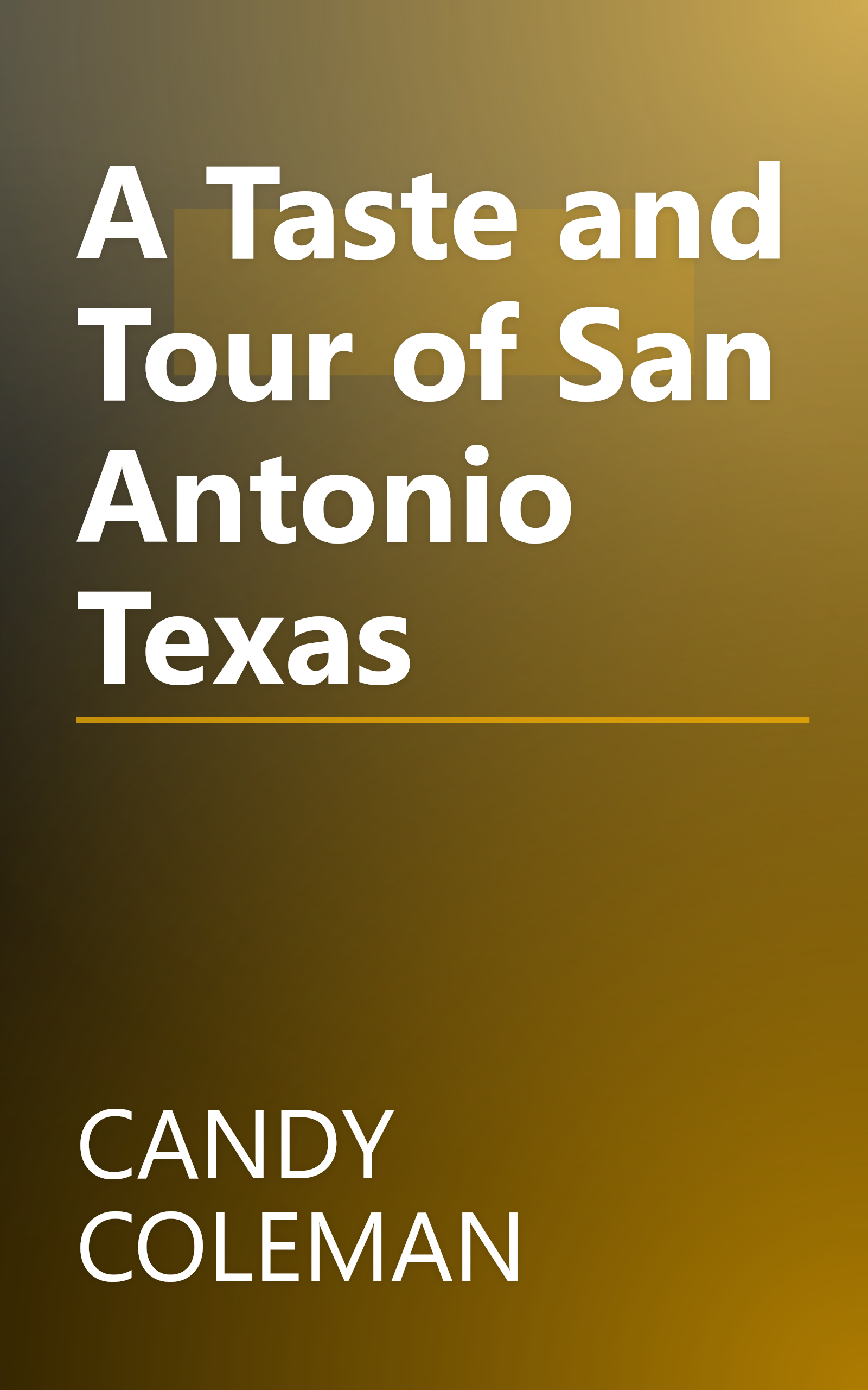 A Taste and Tour of San Antonio Texas book cover
