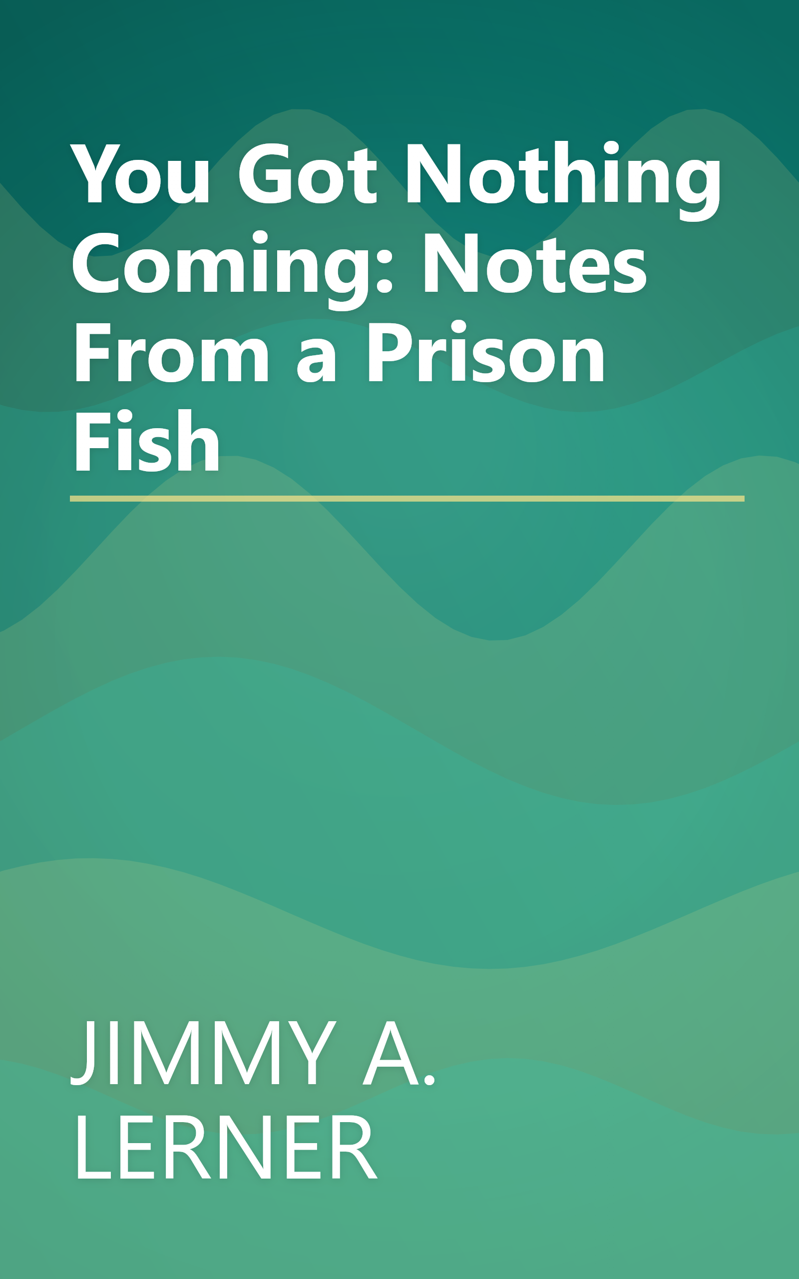 You Got Nothing Coming: Notes From a Prison Fish book cover