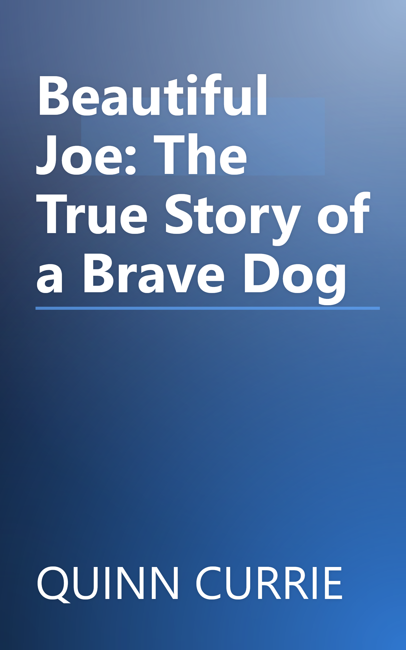 Beautiful Joe: The True Story of a Brave Dog book cover