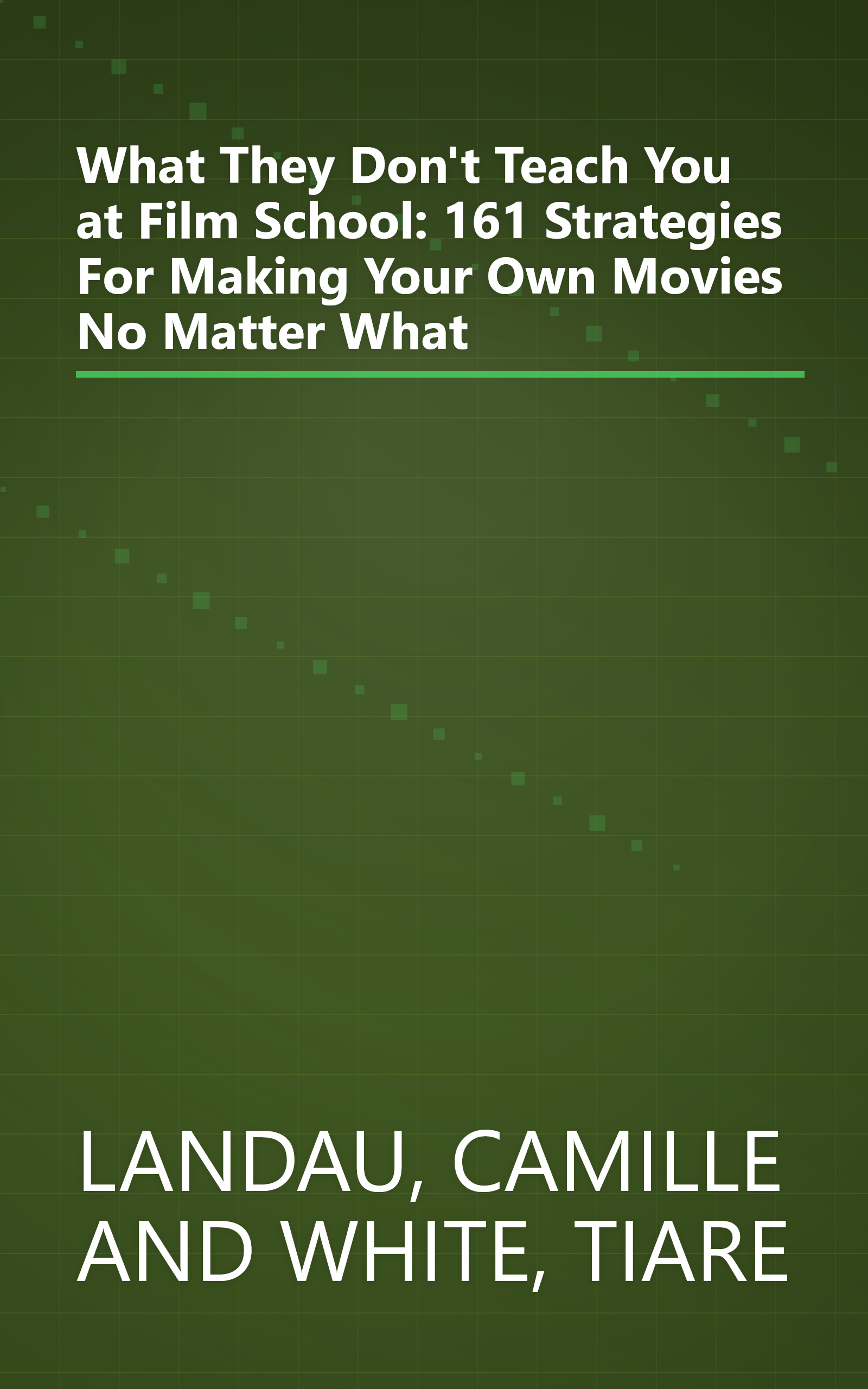 What They Don't Teach You at Film School: 161 Strategies For Making Your Own Movies No Matter What book cover