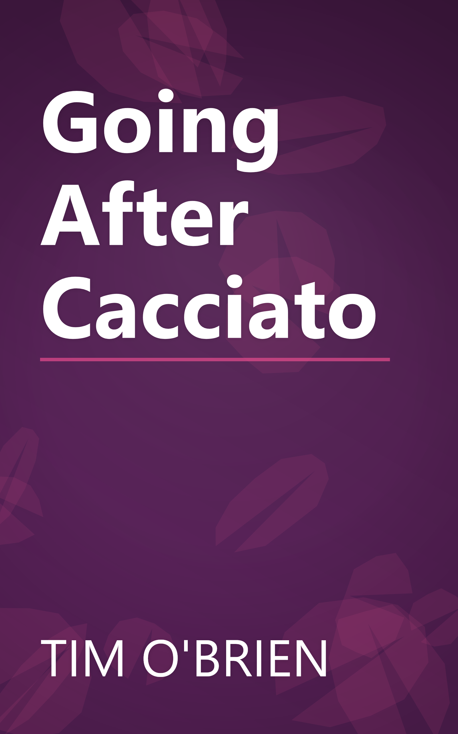 Going After Cacciato book cover