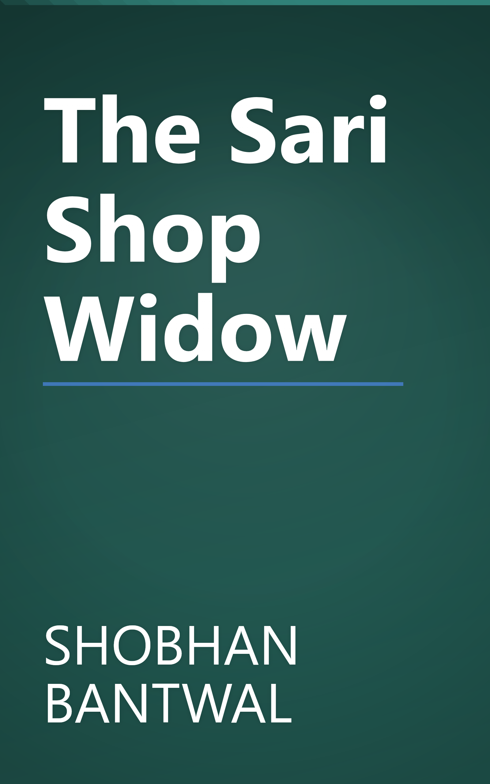 The Sari Shop Widow book cover