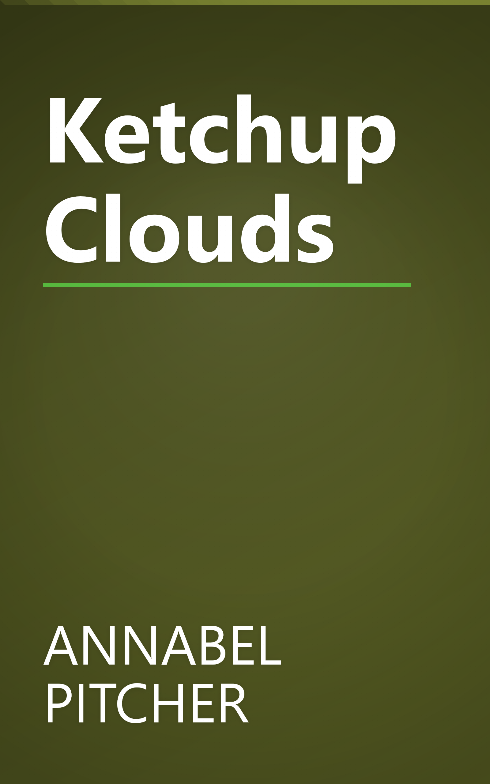 Ketchup Clouds book cover