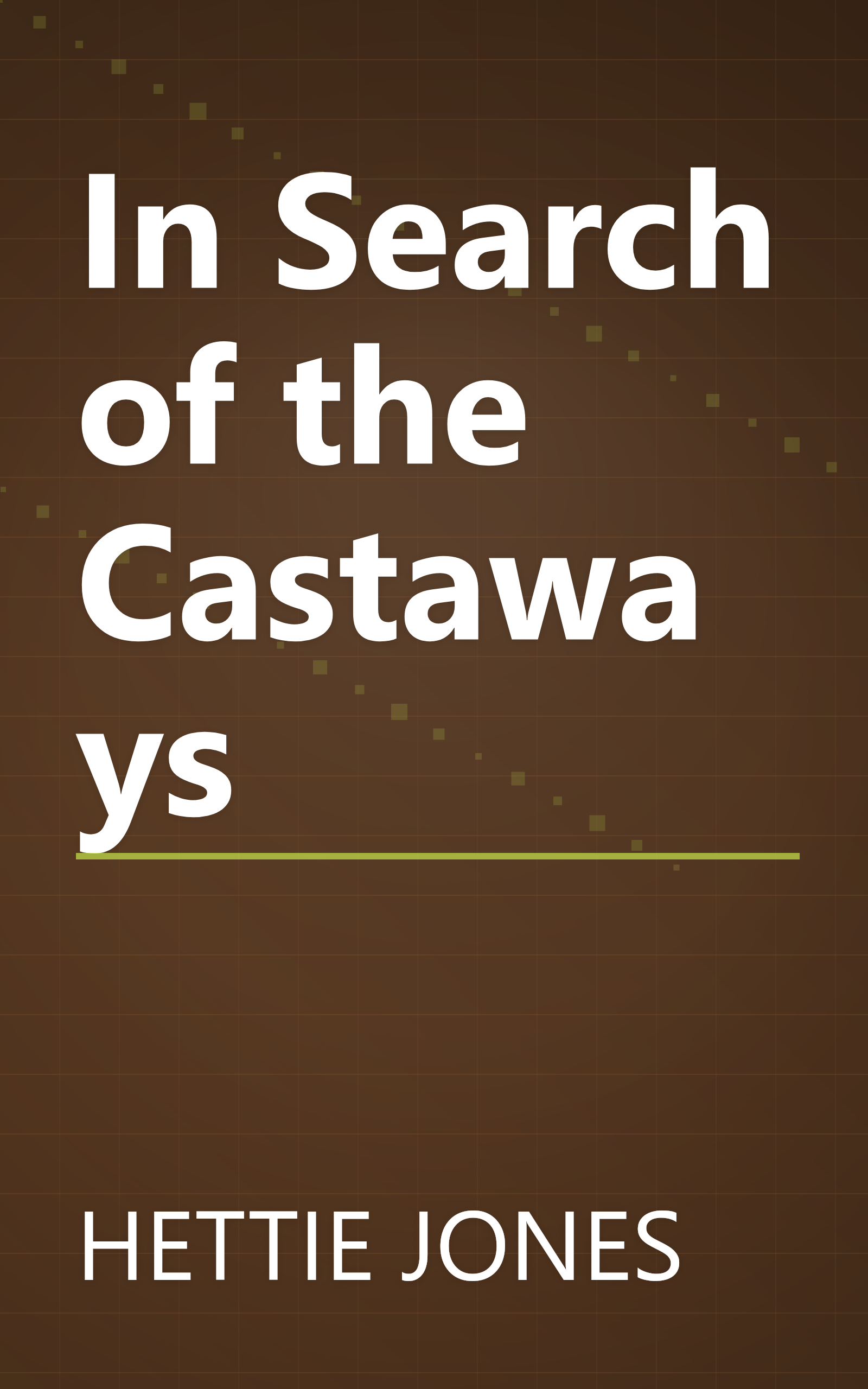 In Search of the Castaways book cover
