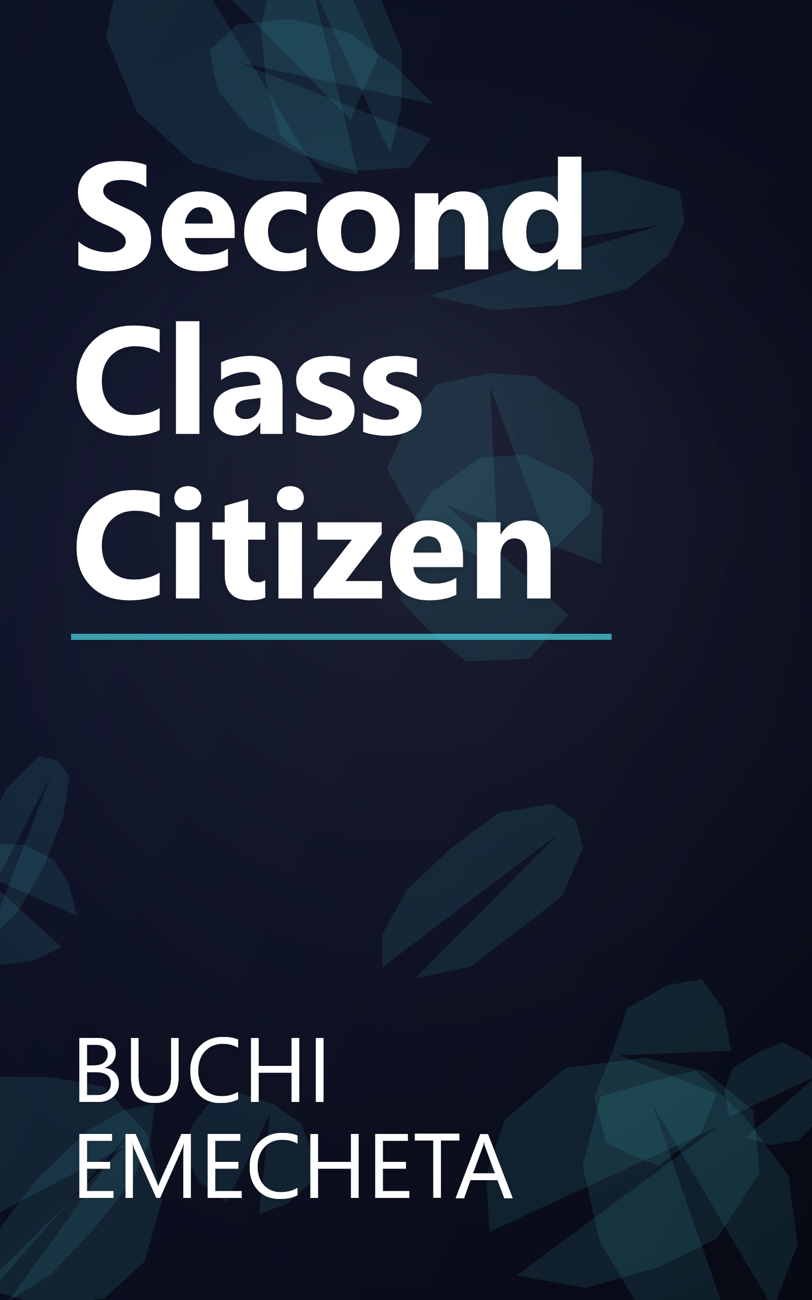 Second Class Citizen book cover