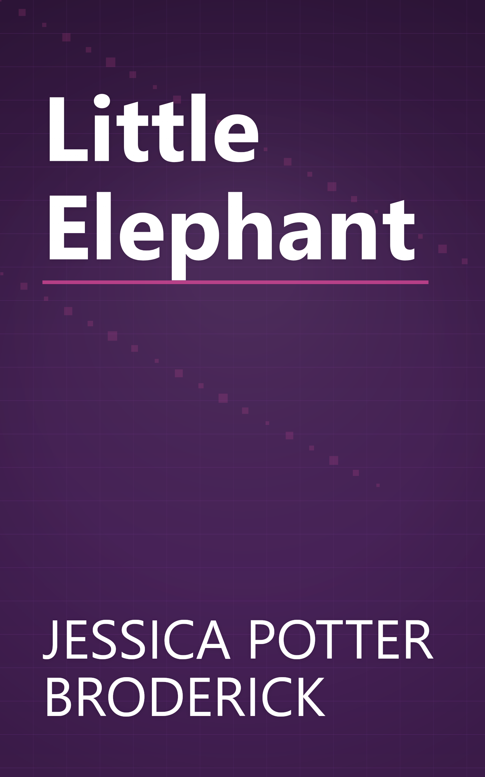 Little Elephant book cover