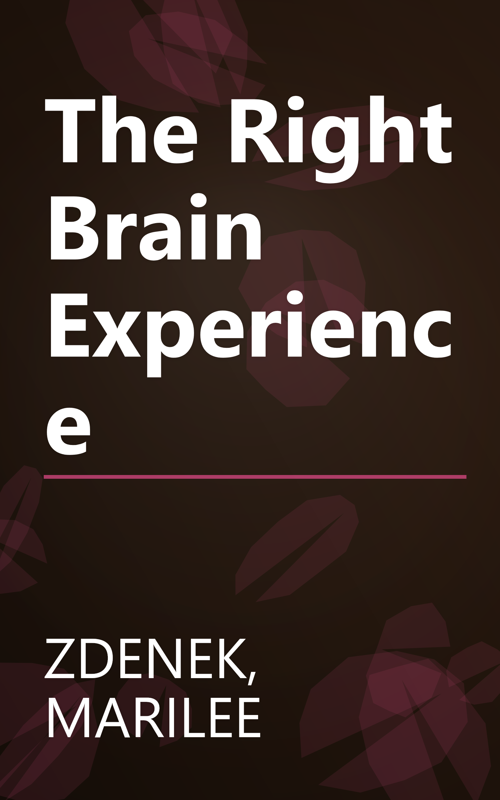 The Right Brain Experience book cover