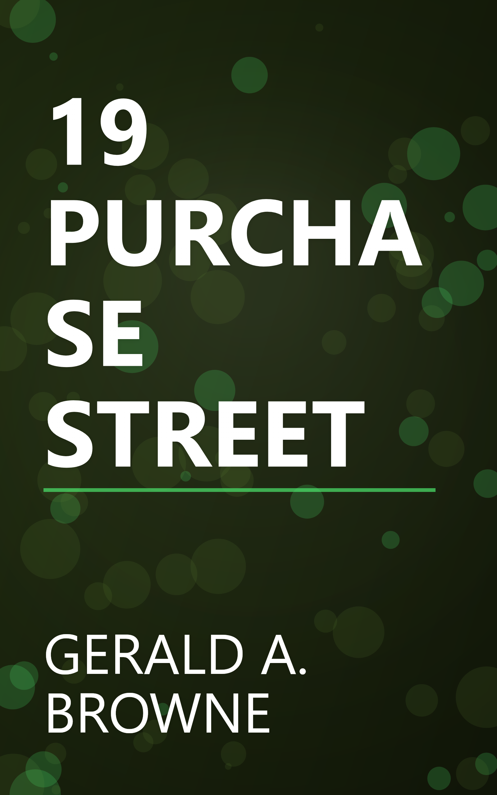 19 PURCHASE STREET book cover