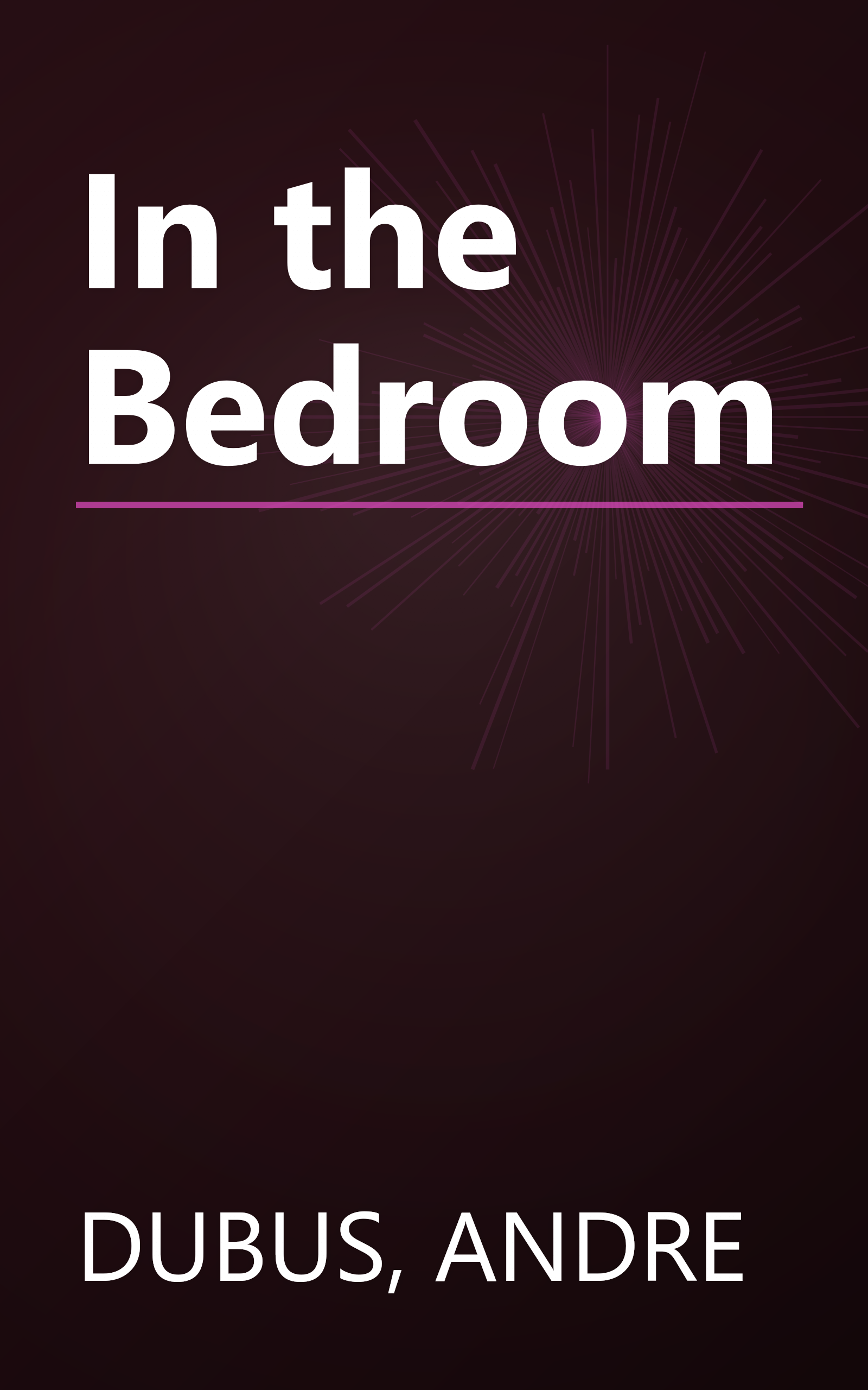 In the Bedroom book cover