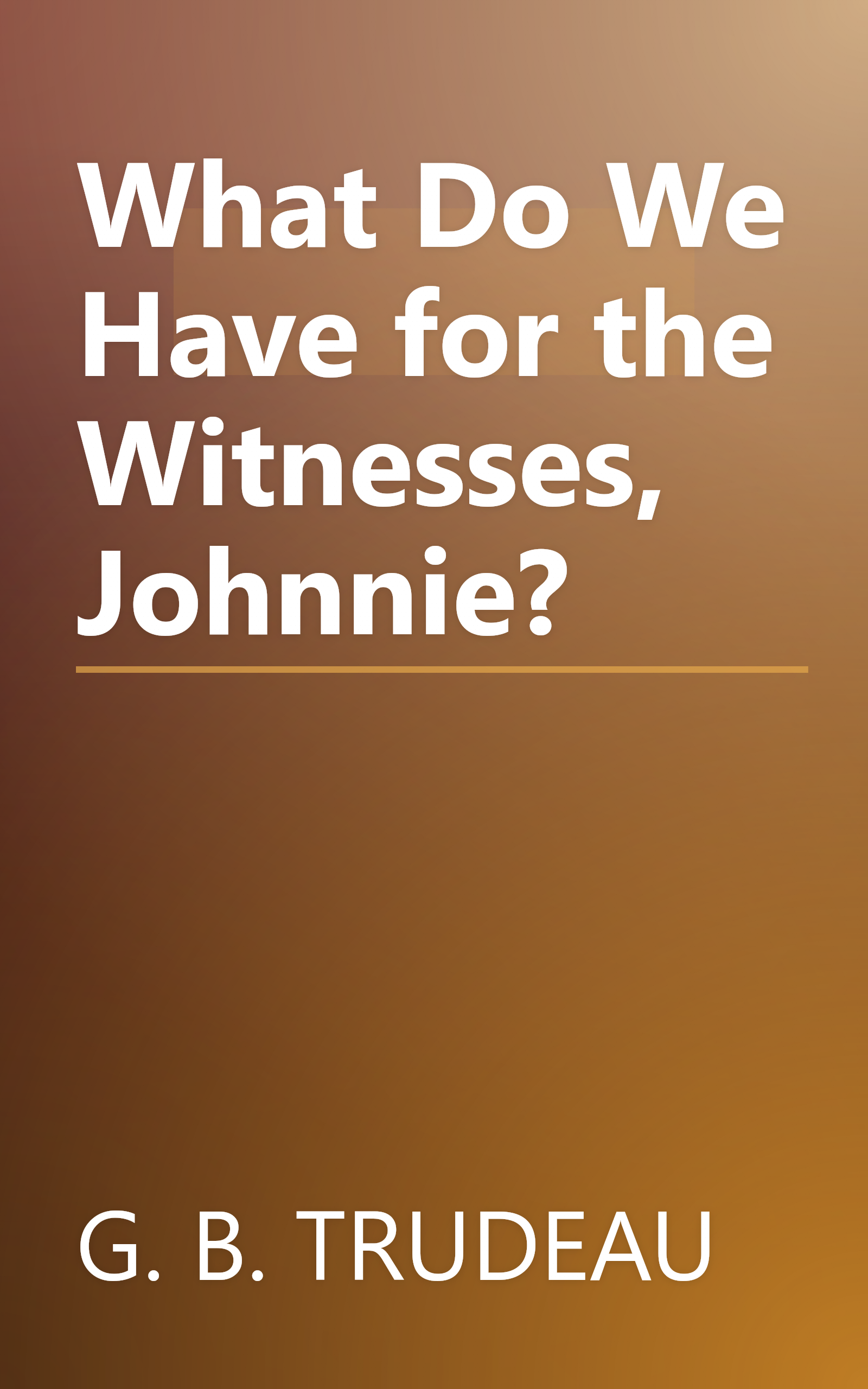 What Do We Have for the Witnesses, Johnnie? book cover