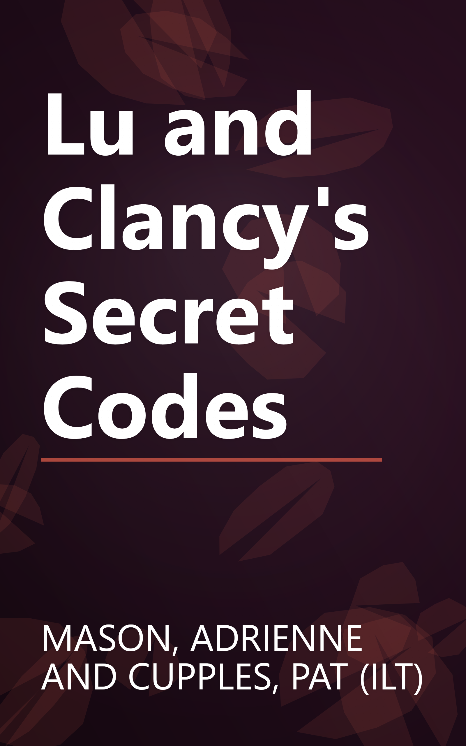 Lu and Clancy's Secret Codes book cover