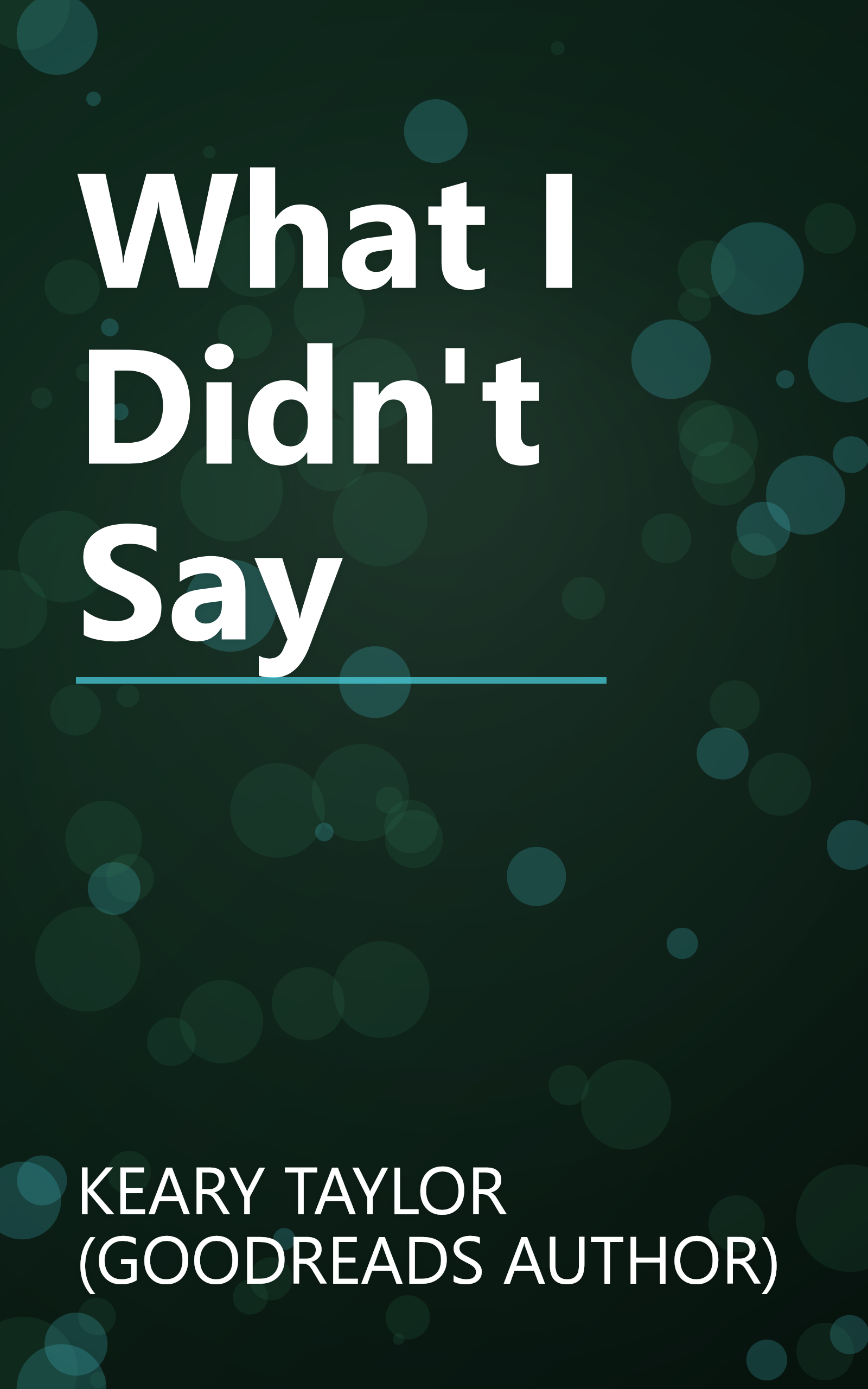 What I Didn't Say book cover