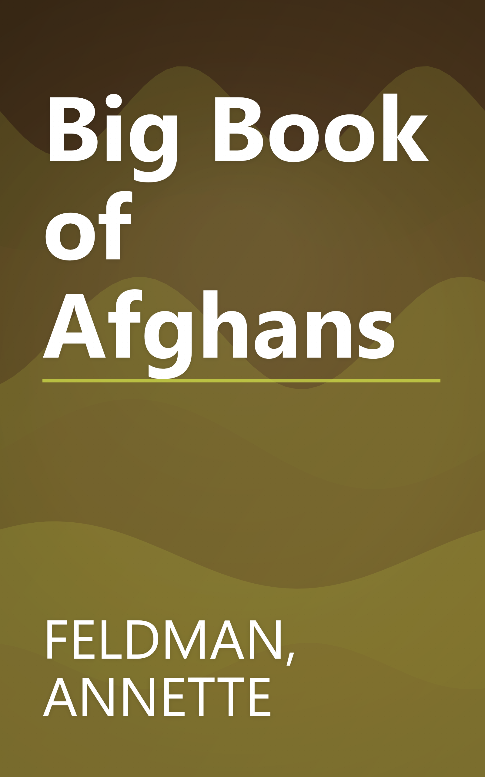 Big Book of Afghans book cover