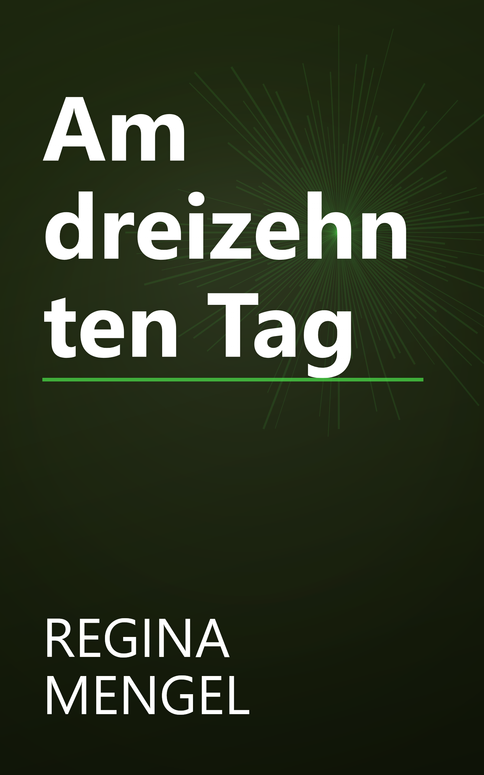 Am dreizehnten Tag book cover