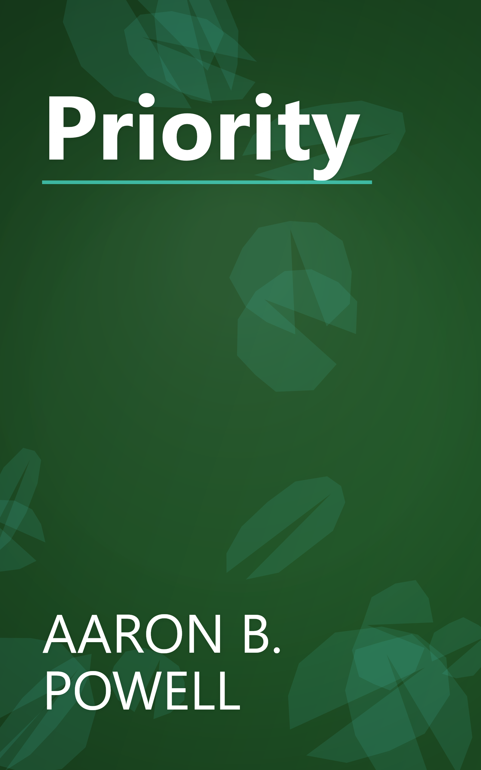 Priority book cover