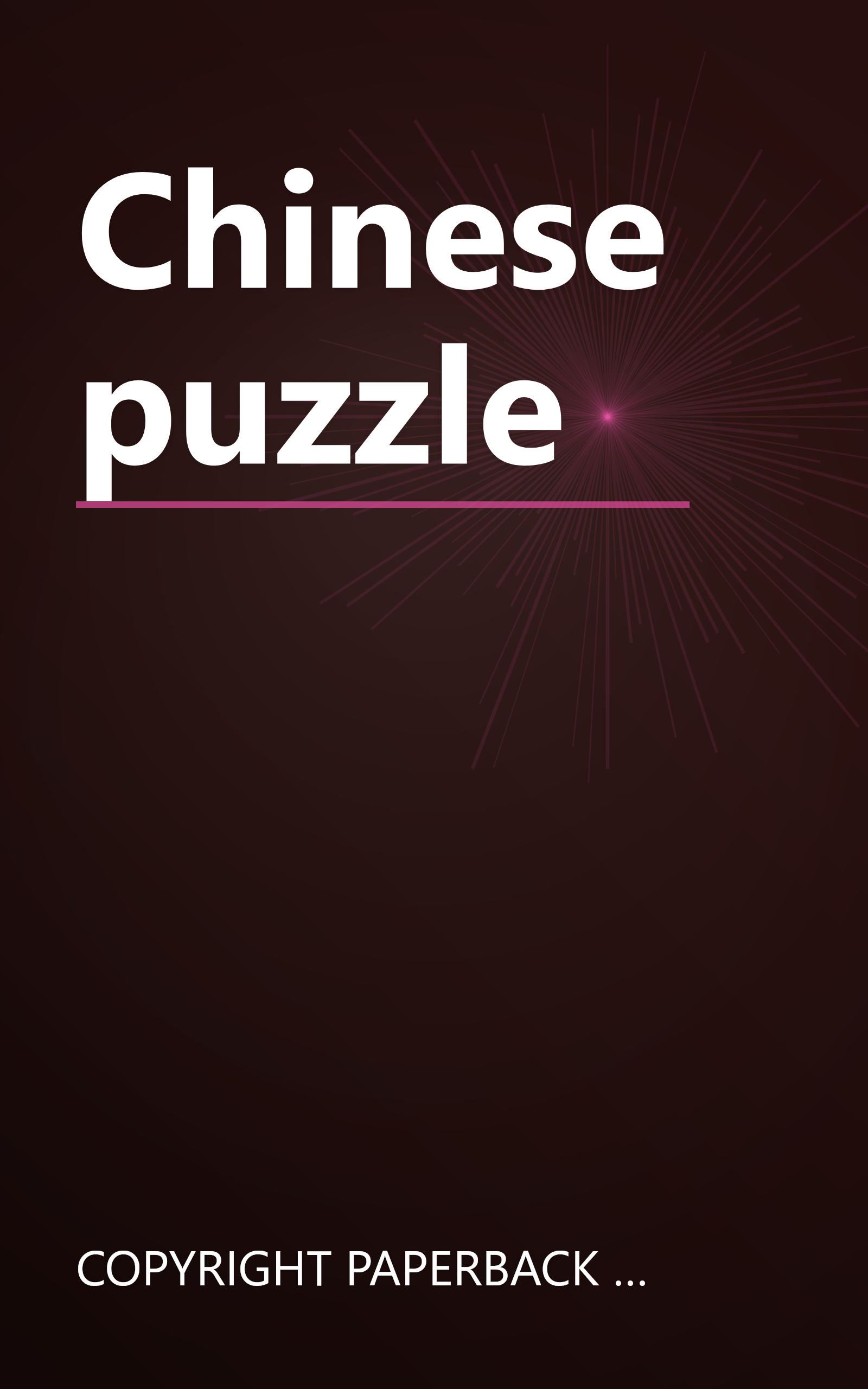 Chinese puzzle book cover