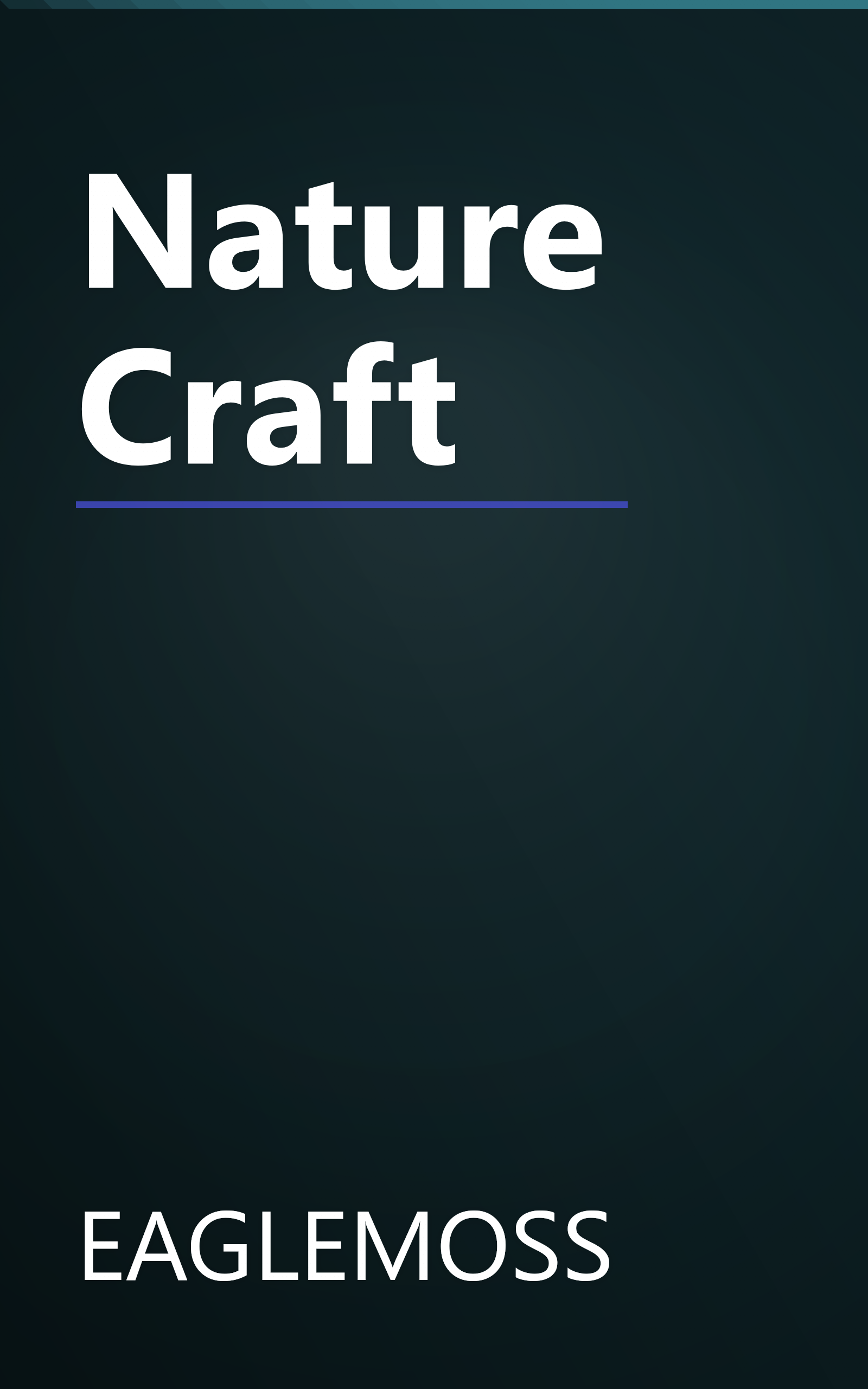 Nature Craft book cover