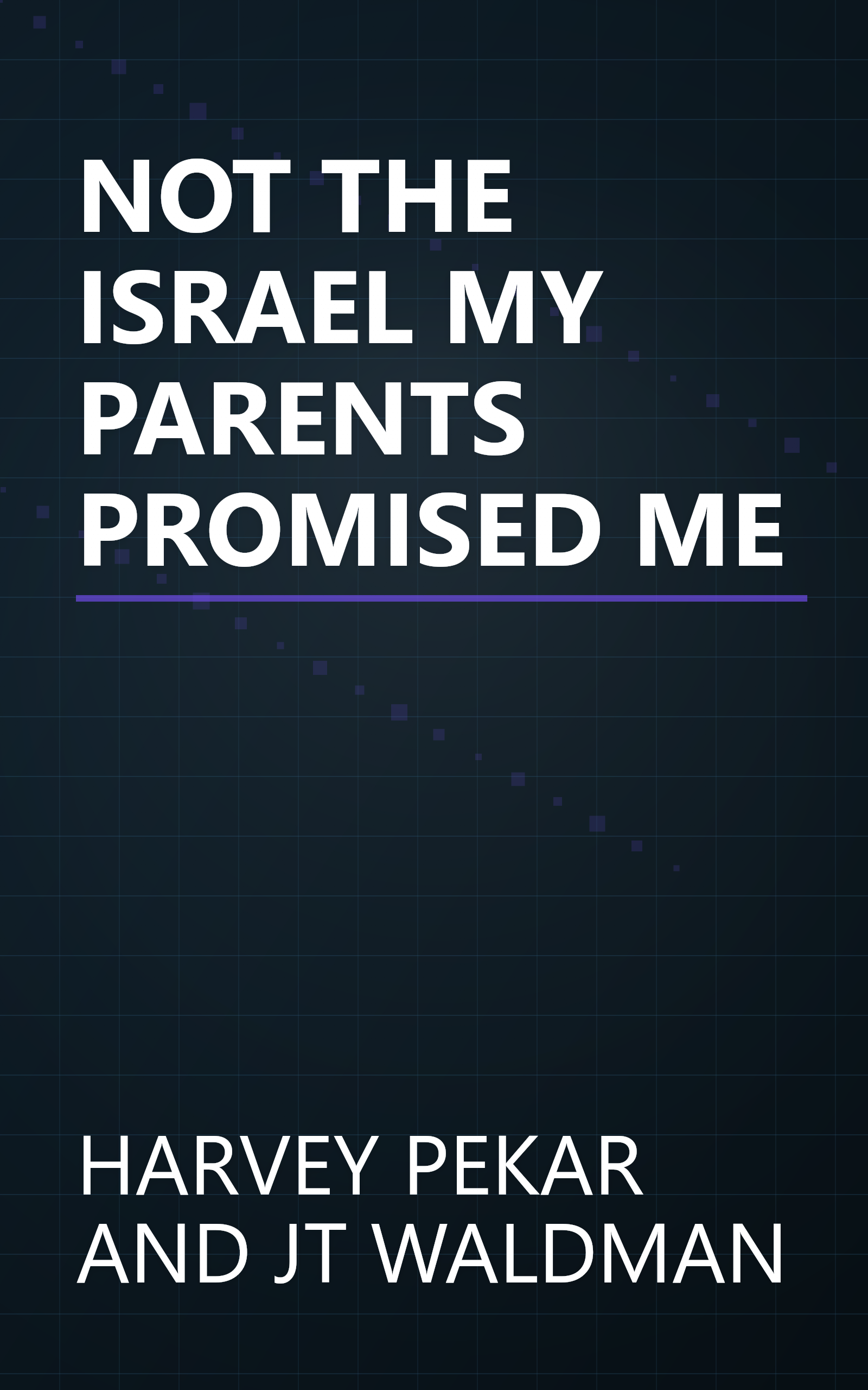 NOT THE ISRAEL MY PARENTS PROMISED ME book cover