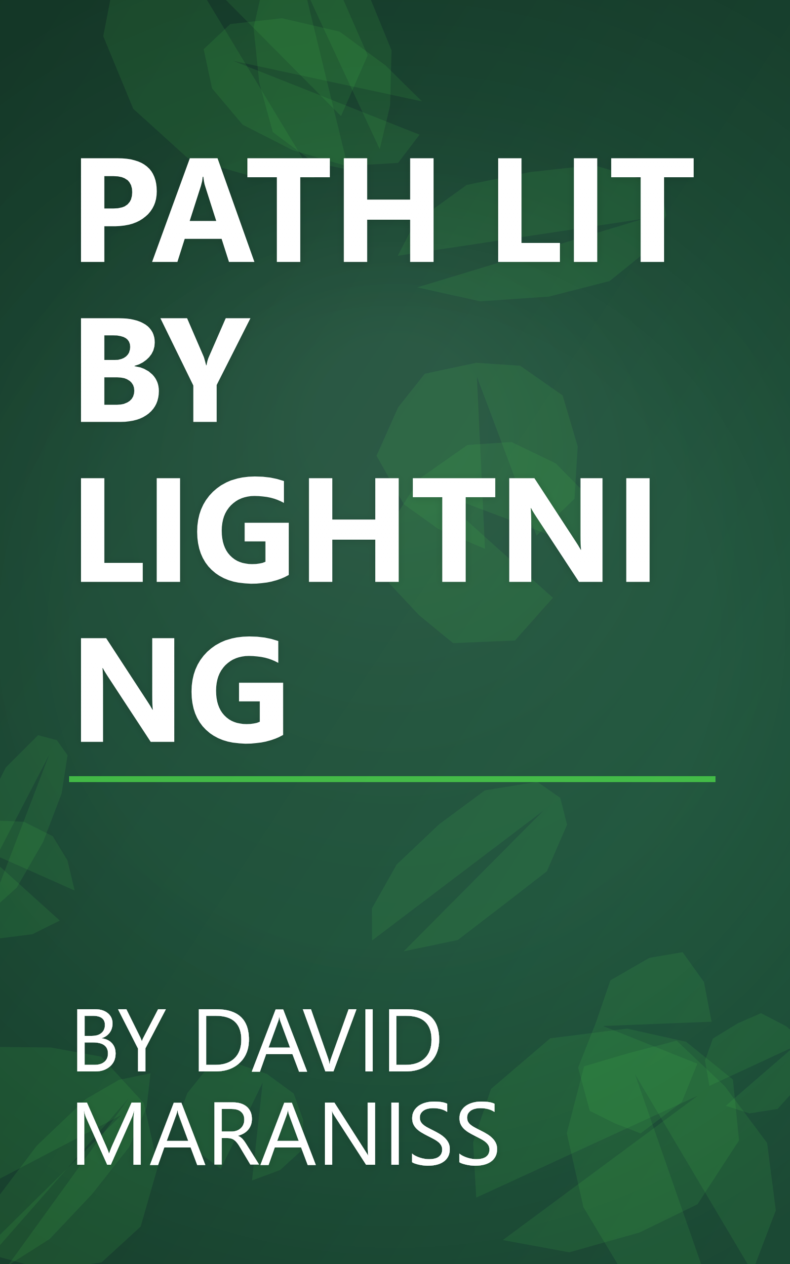PATH LIT BY LIGHTNING book cover