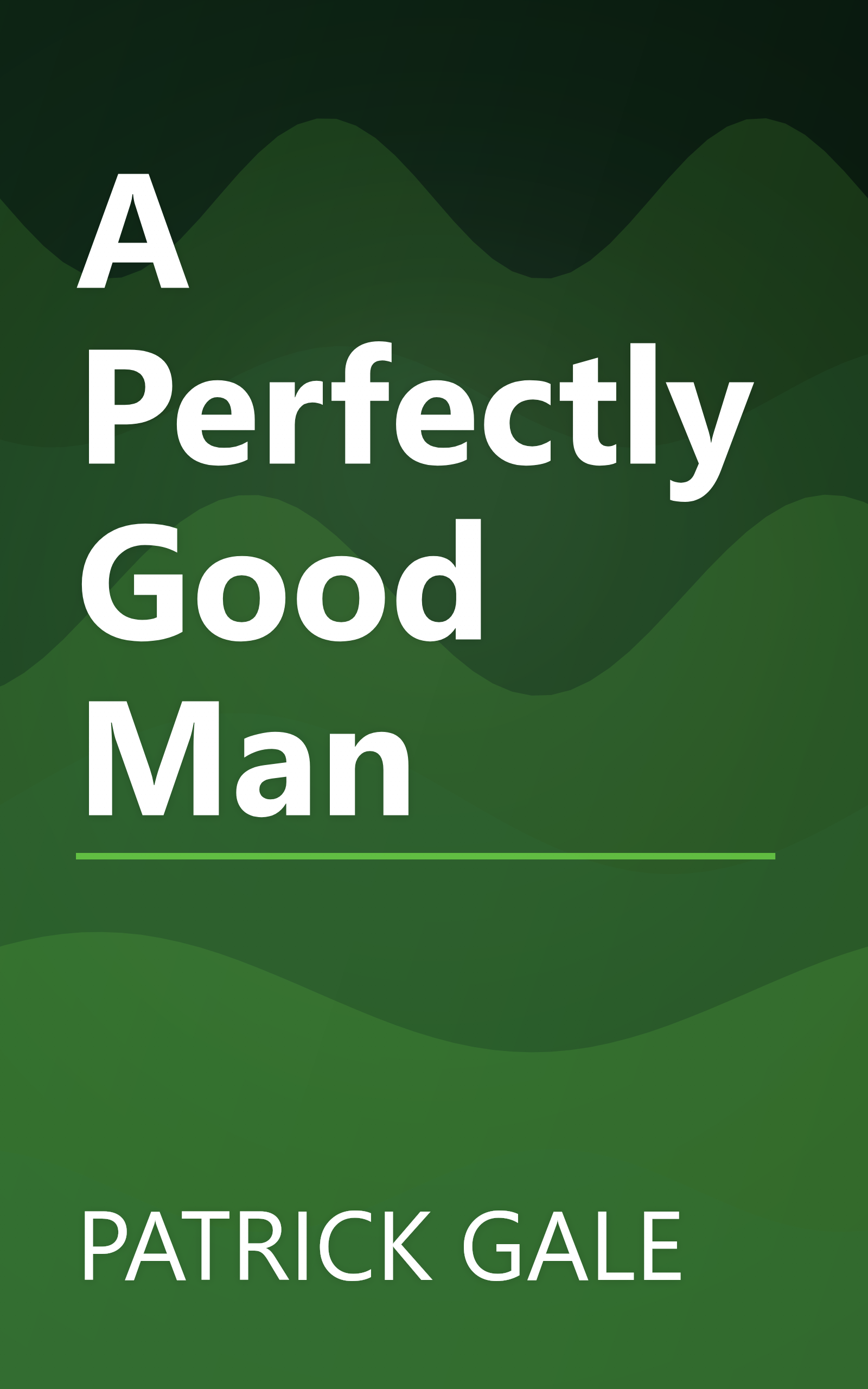A Perfectly Good Man book cover