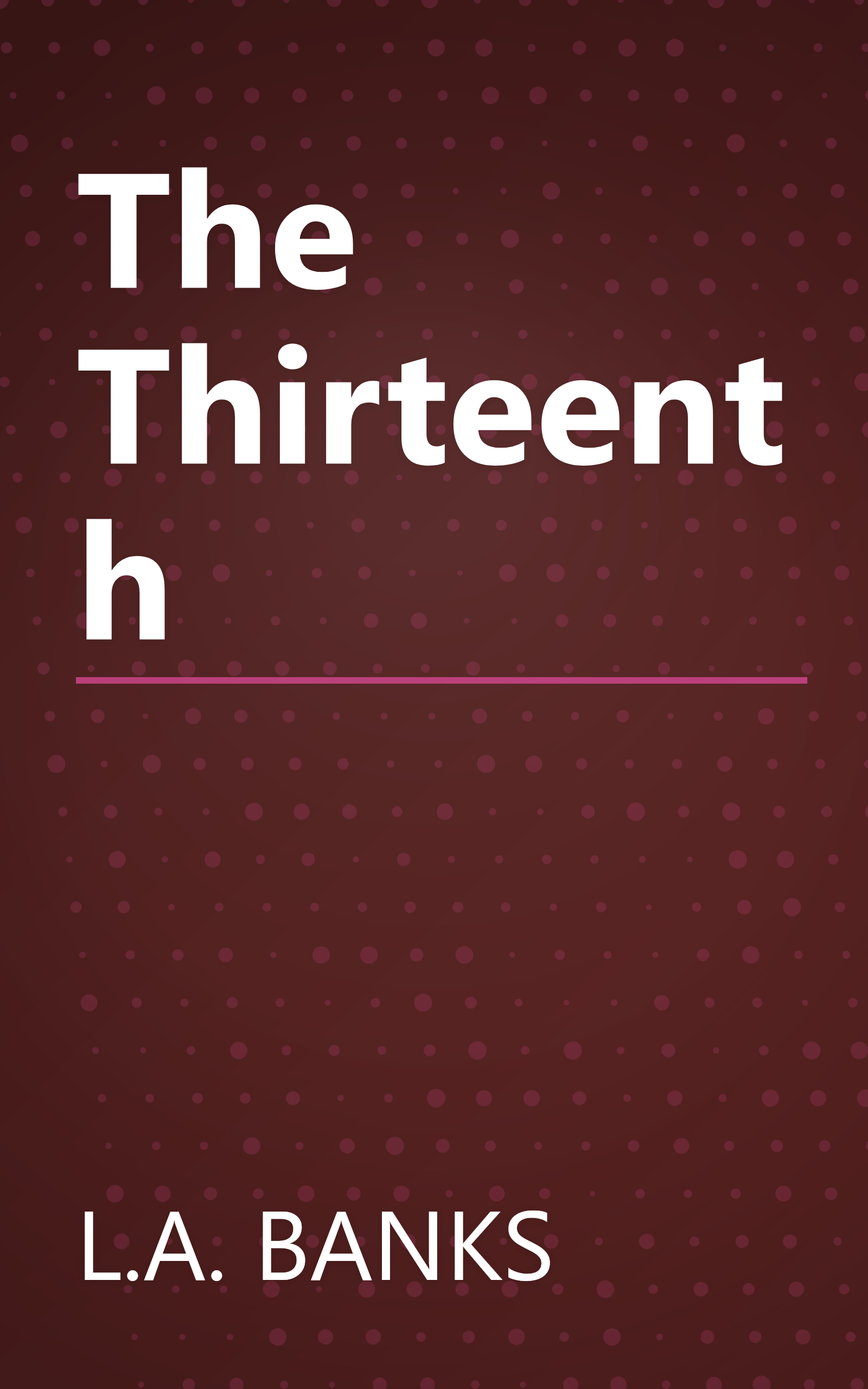 The Thirteenth book cover