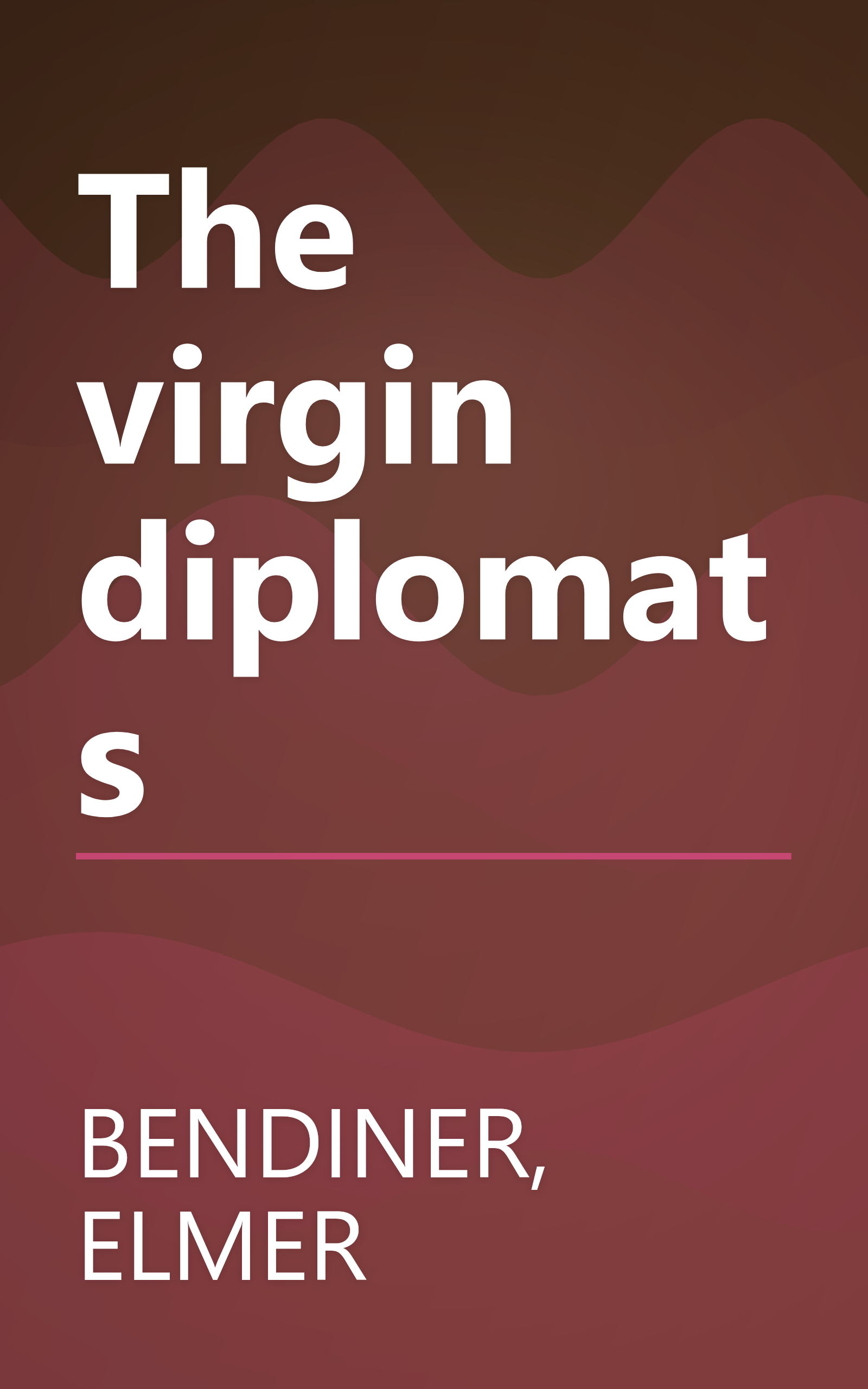 The virgin diplomats book cover