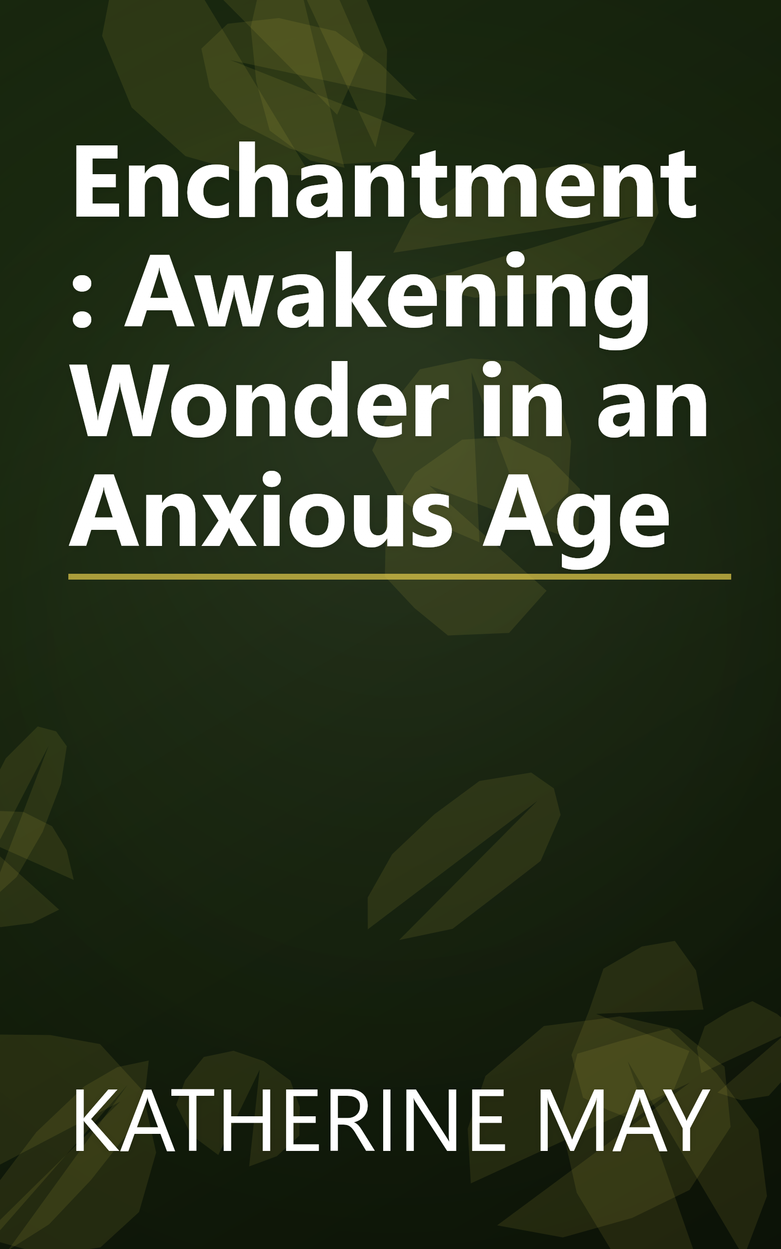 Enchantment: Awakening Wonder in an Anxious Age book cover