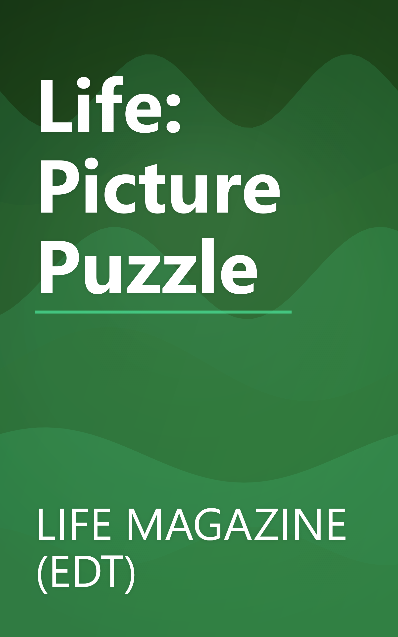 Life: Picture Puzzle book cover