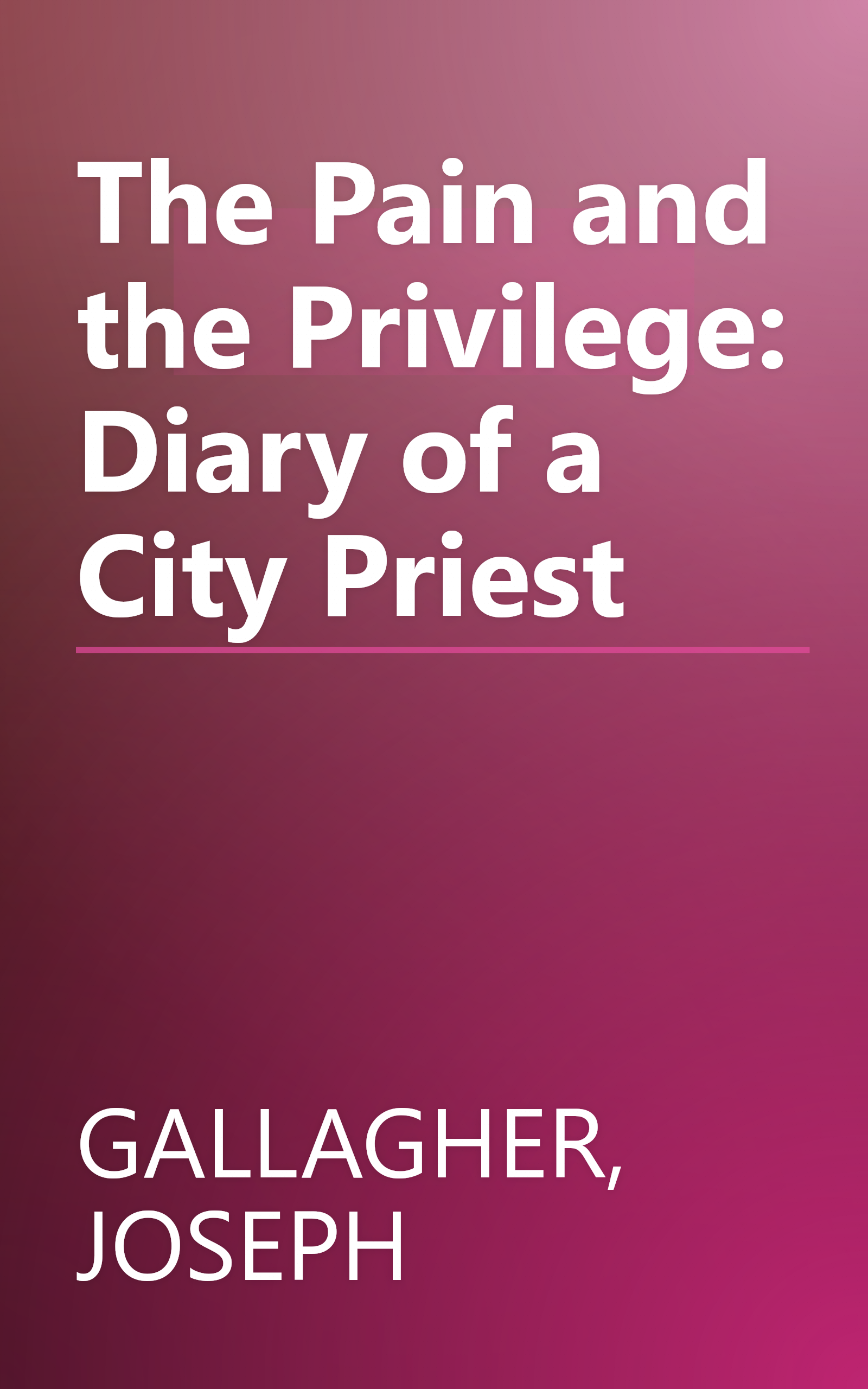 The Pain and the Privilege: Diary of a City Priest book cover