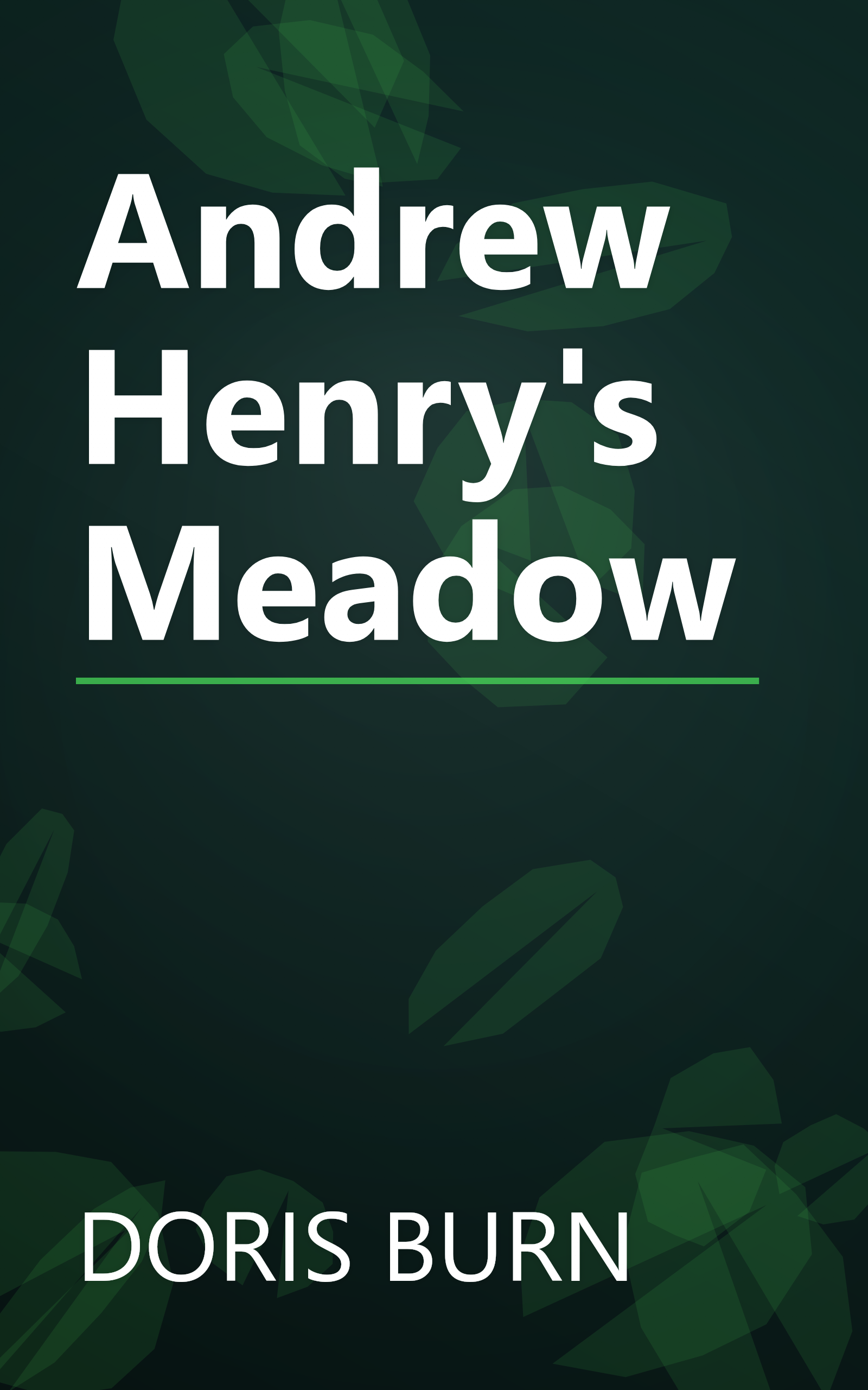 Andrew Henry's Meadow book cover