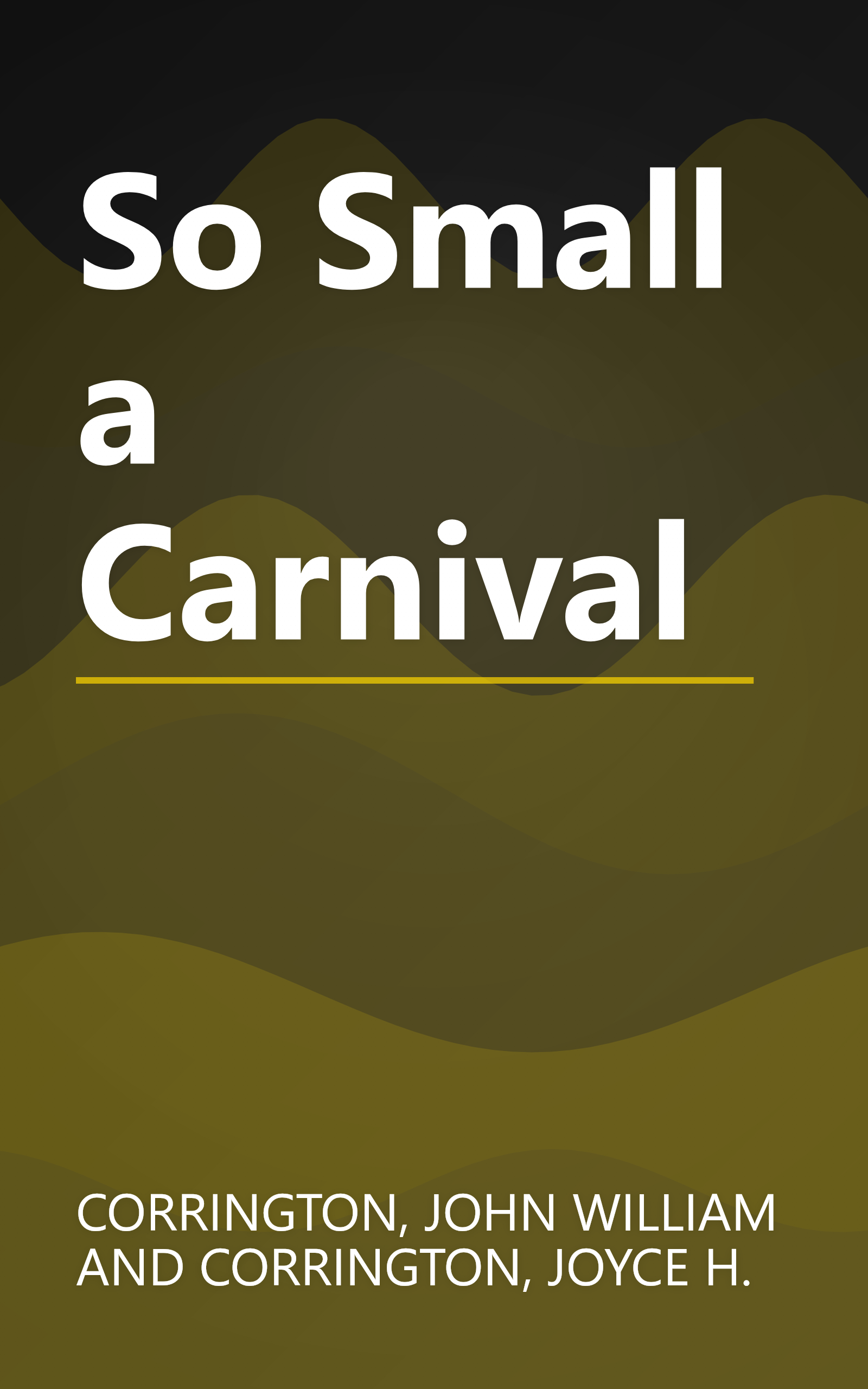 So Small a Carnival book cover
