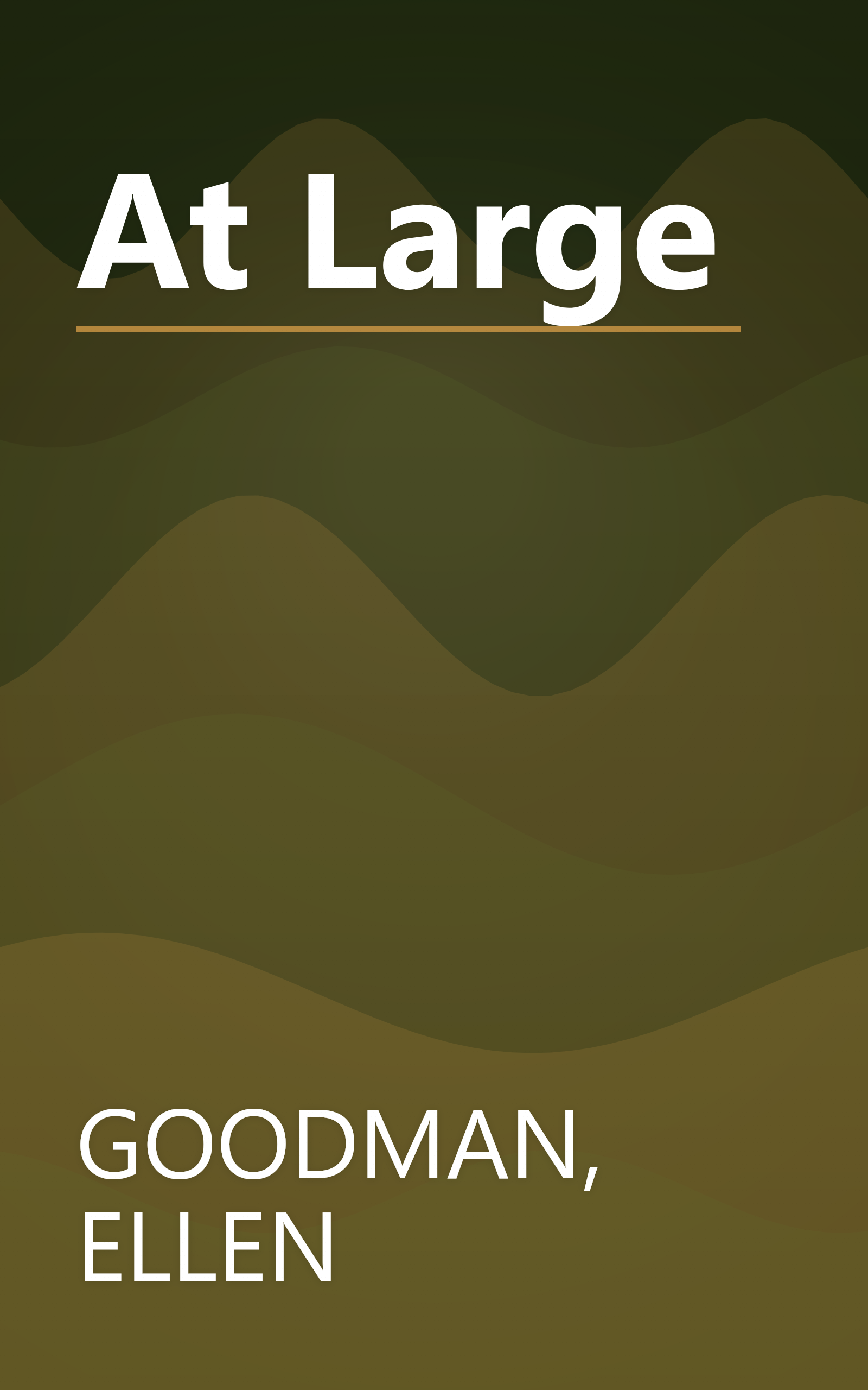 At Large book cover
